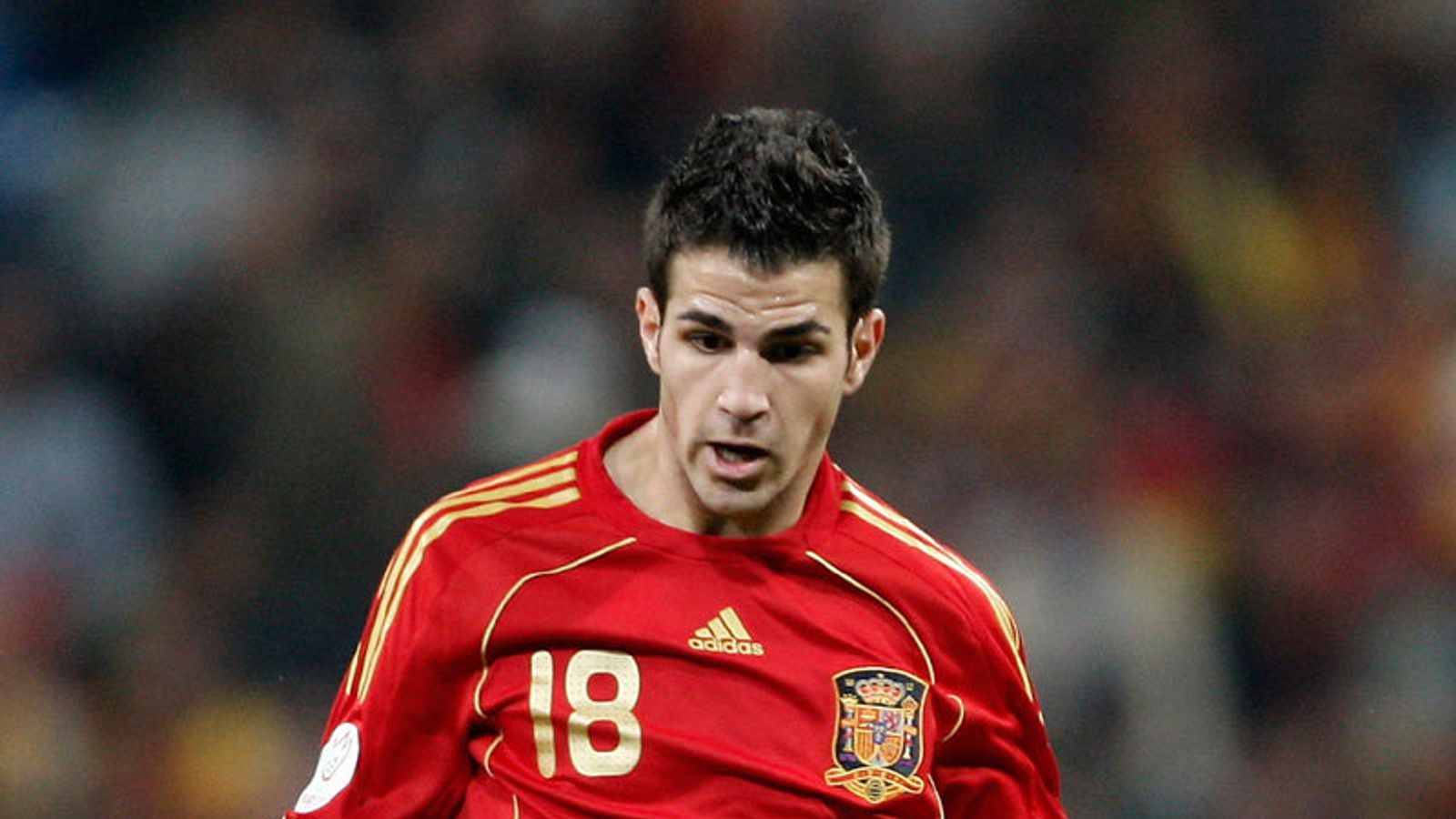 Cesc pleased with progress | Football News | Sky Sports