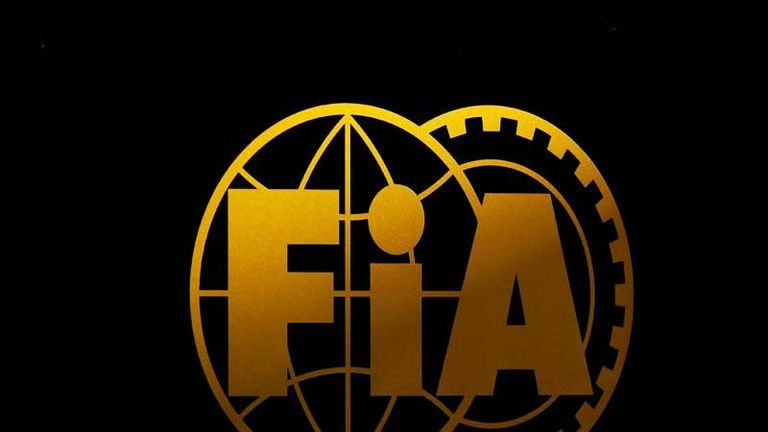 FIA to launch anti-racism campaign | F1 News | Sky Sports
