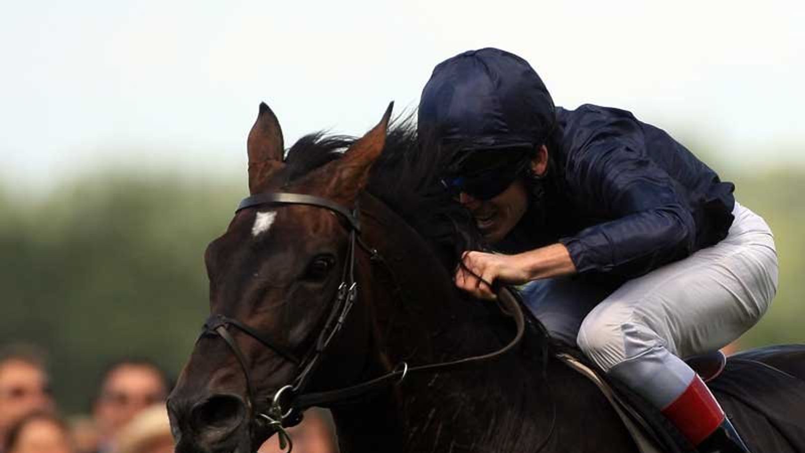 Yeats heads Cup field | Racing News | Sky Sports