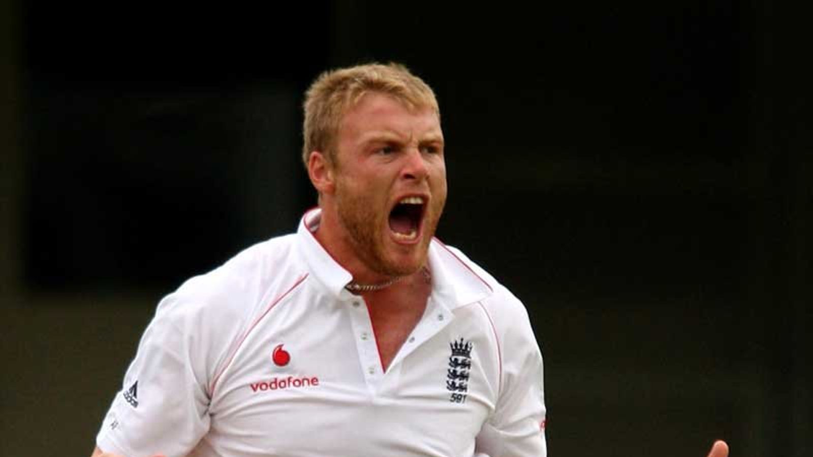 Flintoff reveals Ashes wish | Cricket News | Sky Sports