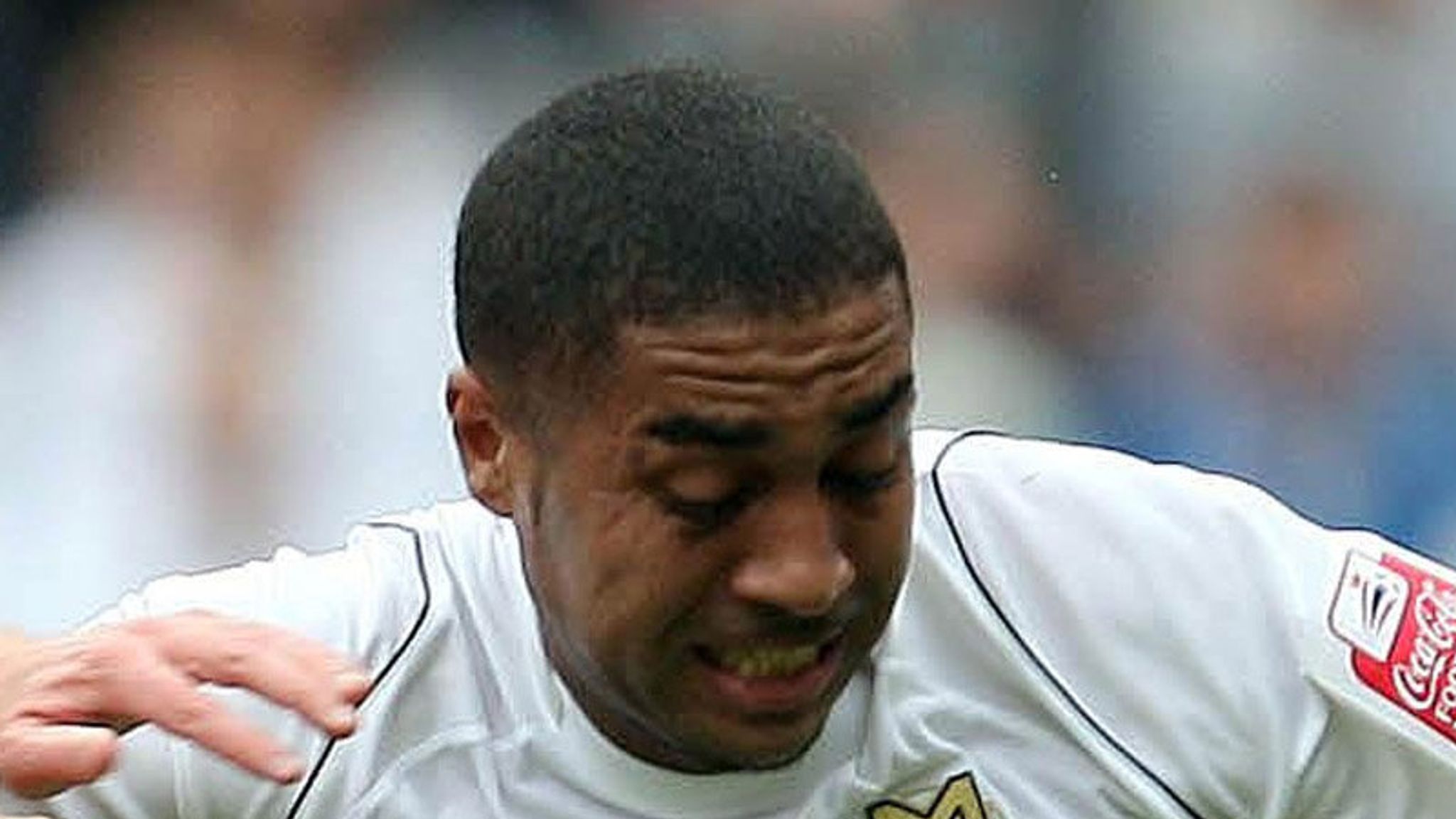 Bees boss does Dobson deal | Football News | Sky Sports