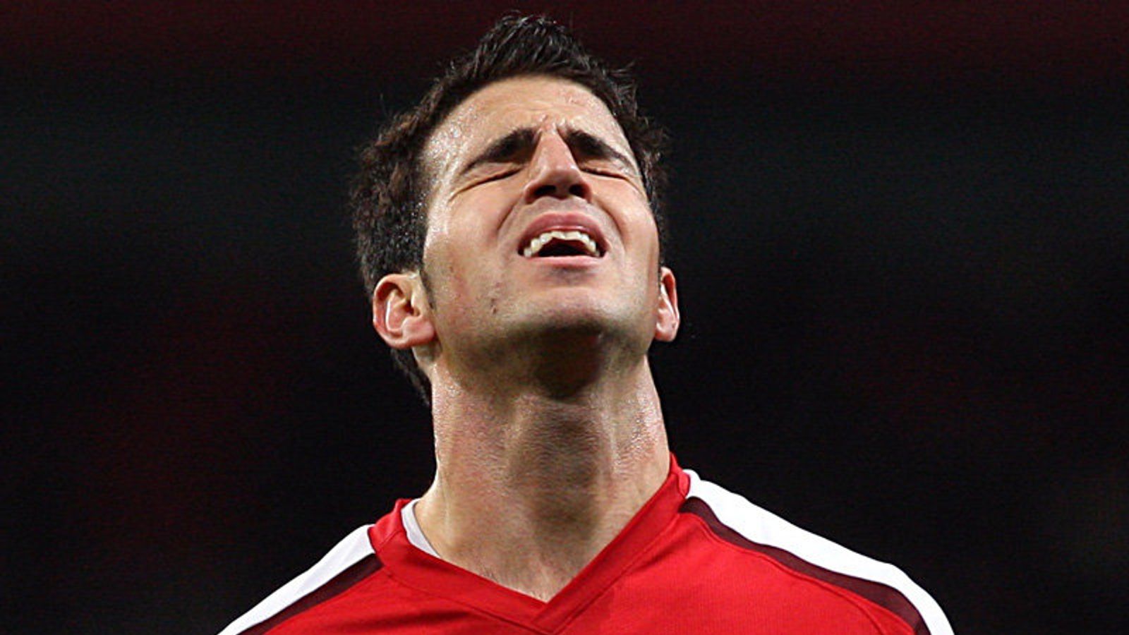 Laporta - Cesc has Barca at heart | Football News | Sky Sports