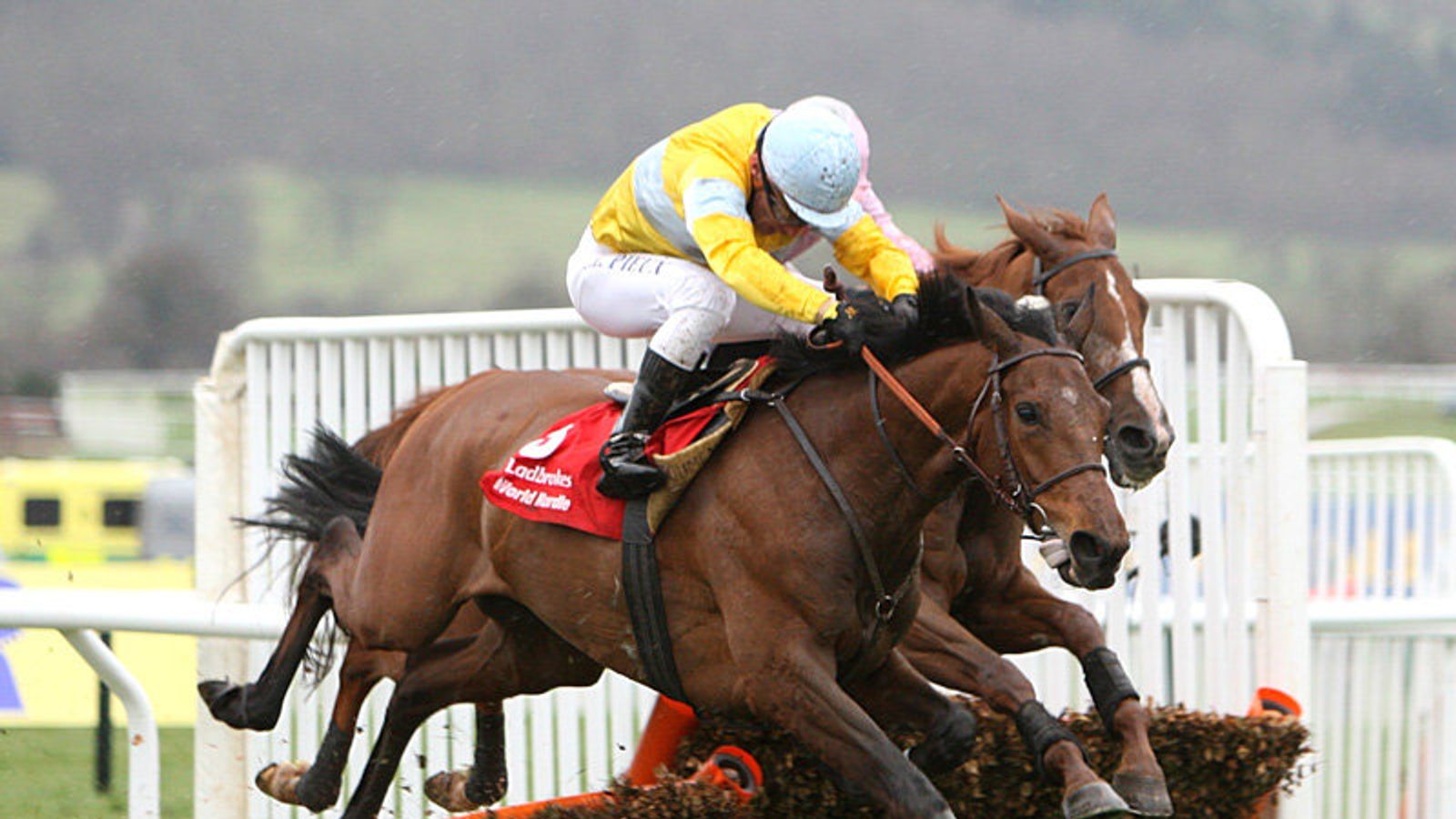 Dubai campaign for Bliss | Racing News | Sky Sports