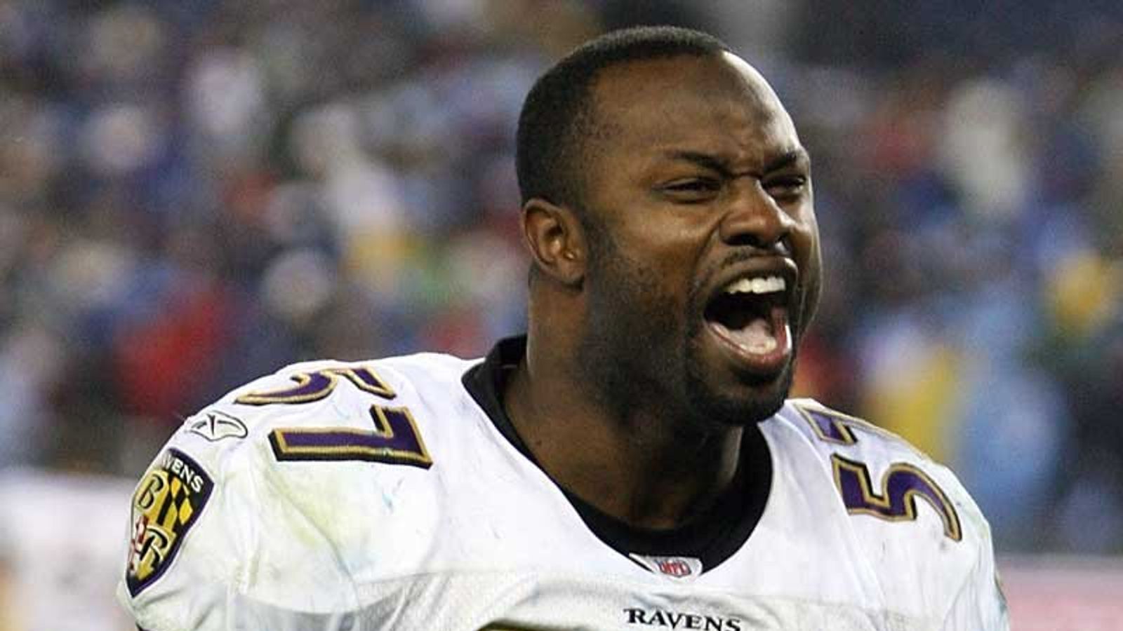 Scott signs for Jets | NFL News | Sky Sports