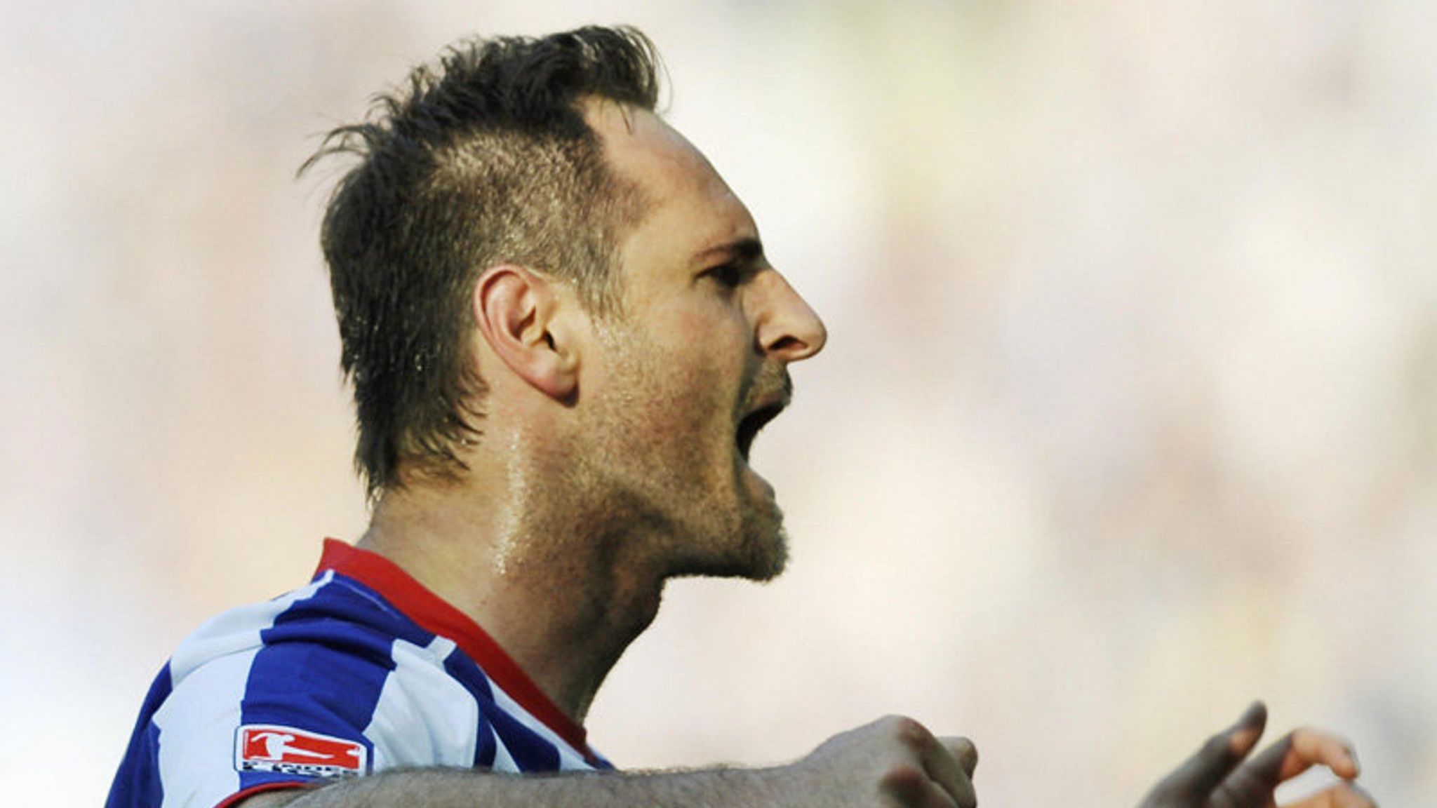 Simunic joins Hoffenheim | Football News | Sky Sports