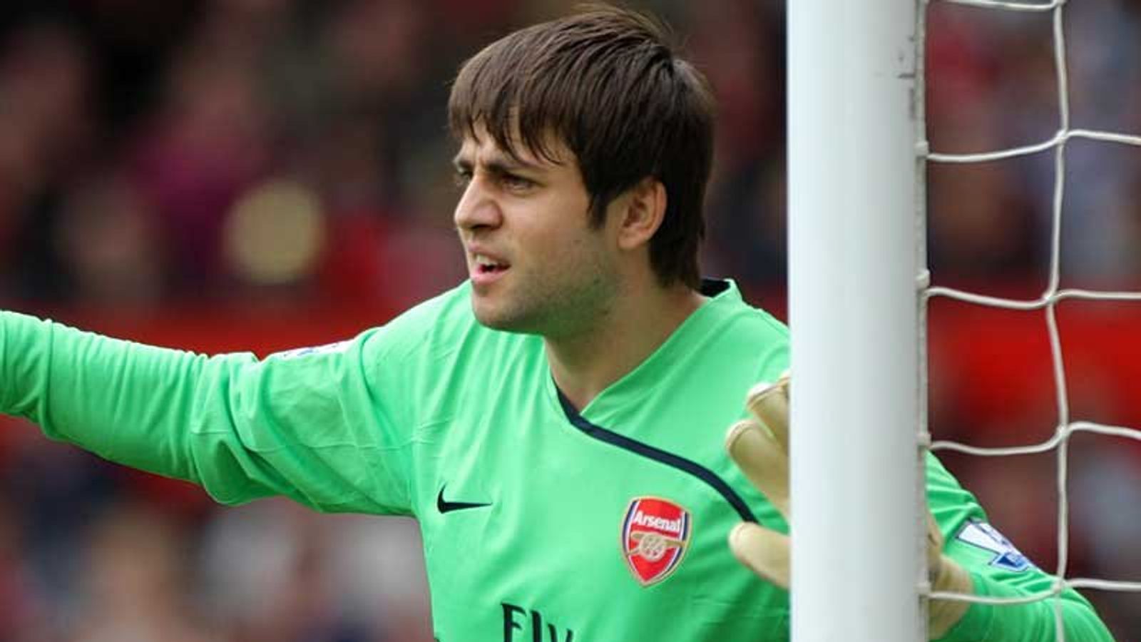 Fabianski out for three weeks | Football News | Sky Sports