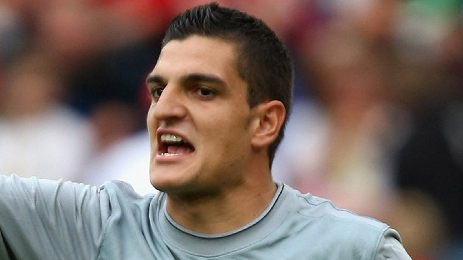 Mannone joins Tigers on loan | Football News | Sky Sports