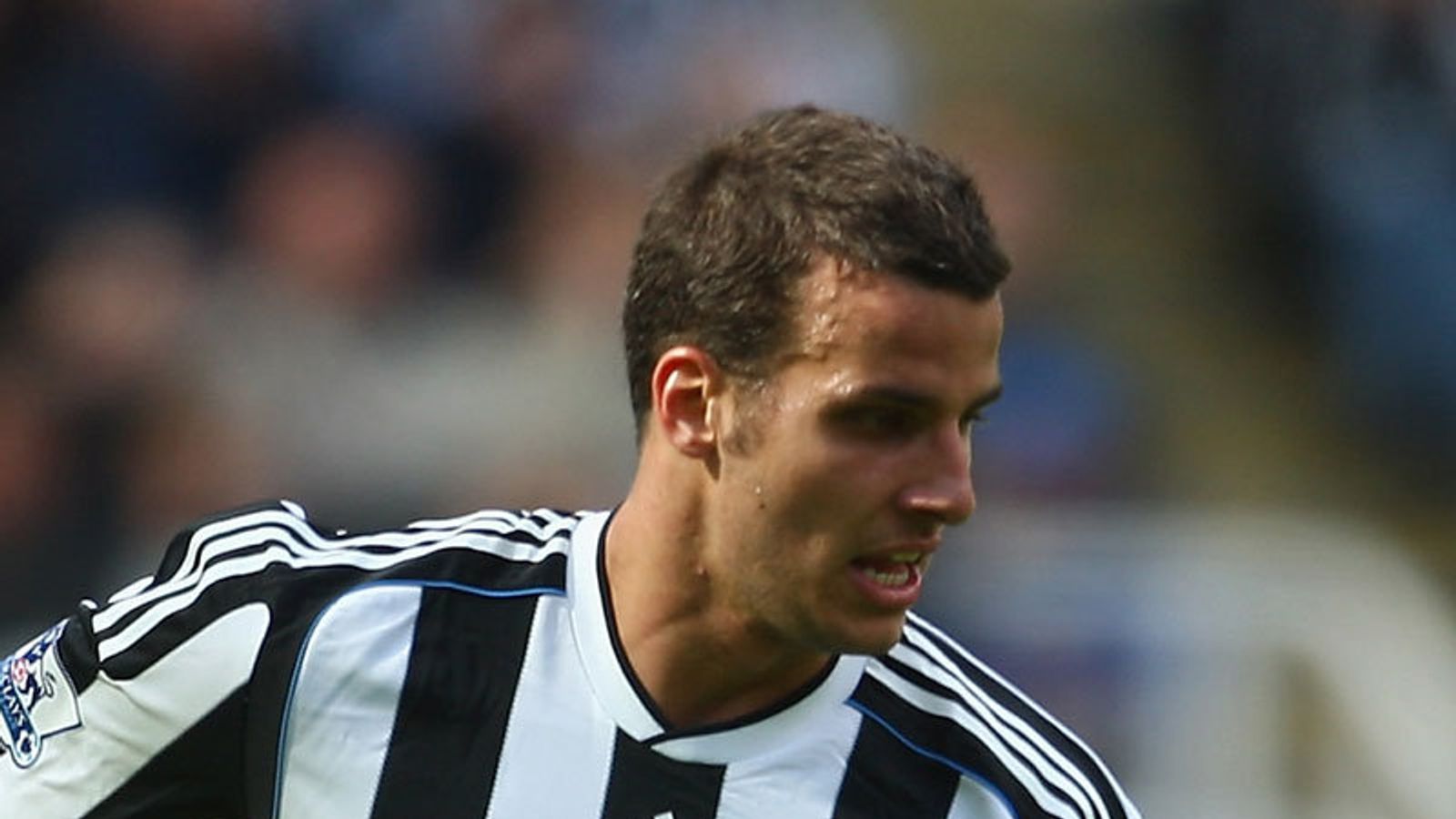 Taylor apologises to Toon Army | Football News | Sky Sports