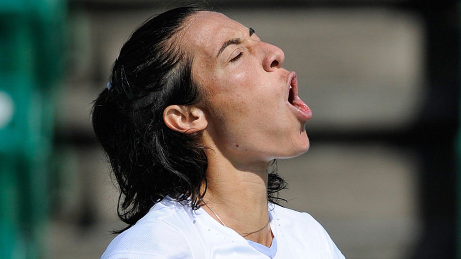 Title joy for Schiavone | Tennis News | Sky Sports