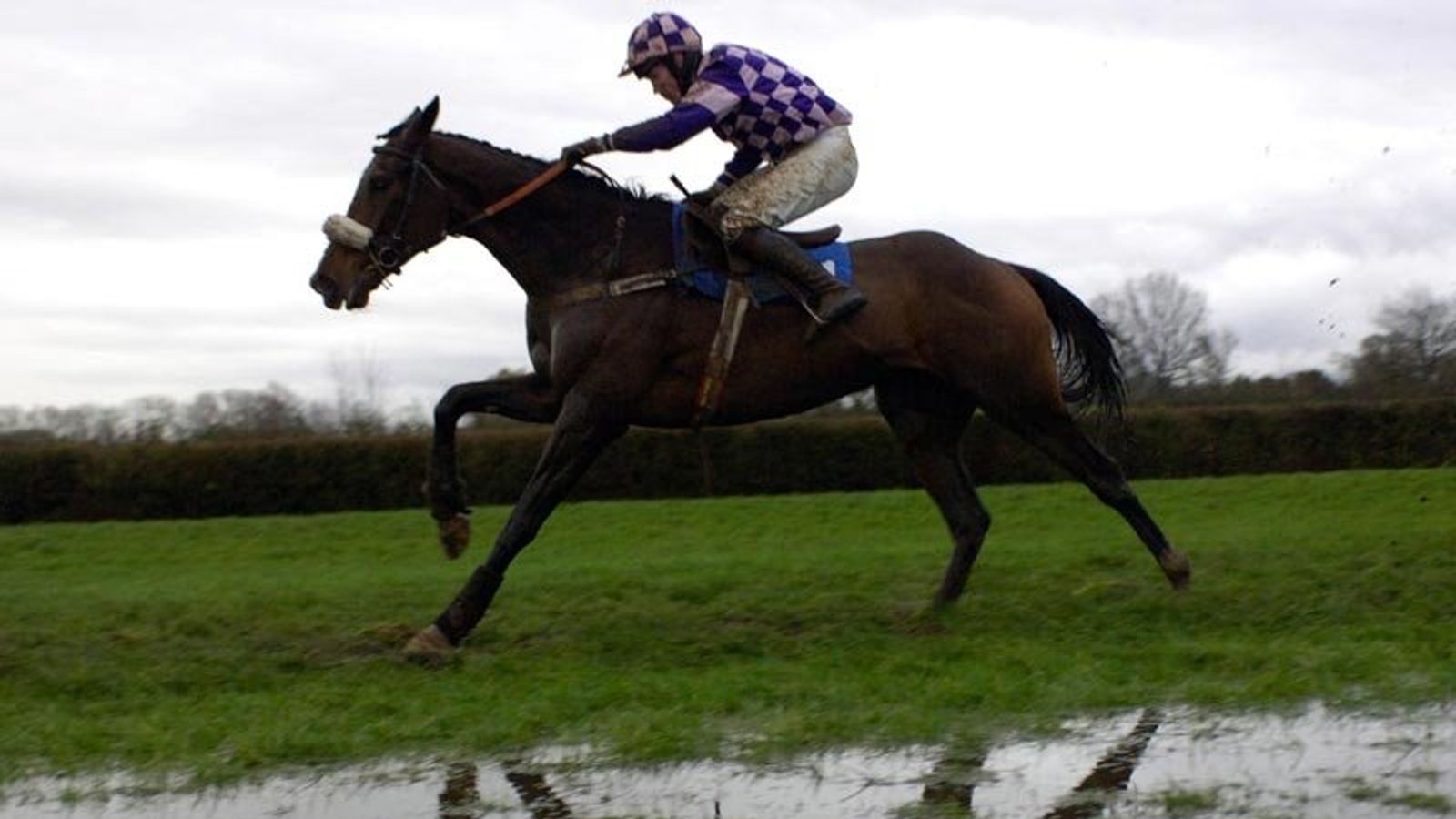 Lawlor, 21, dies in accident | Racing News | Sky Sports