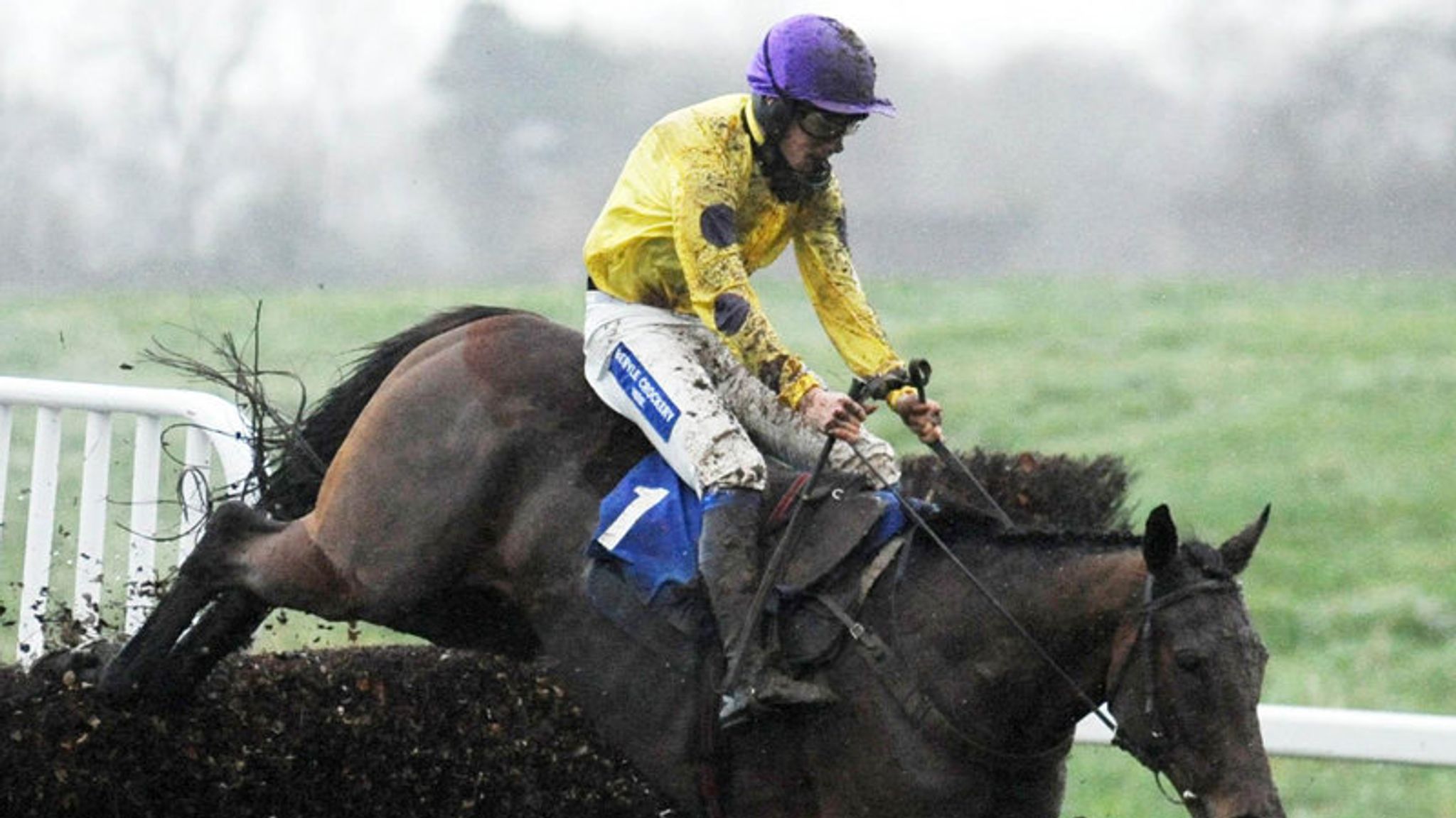 Le Beau Bai set for Bangor | Racing News | Sky Sports