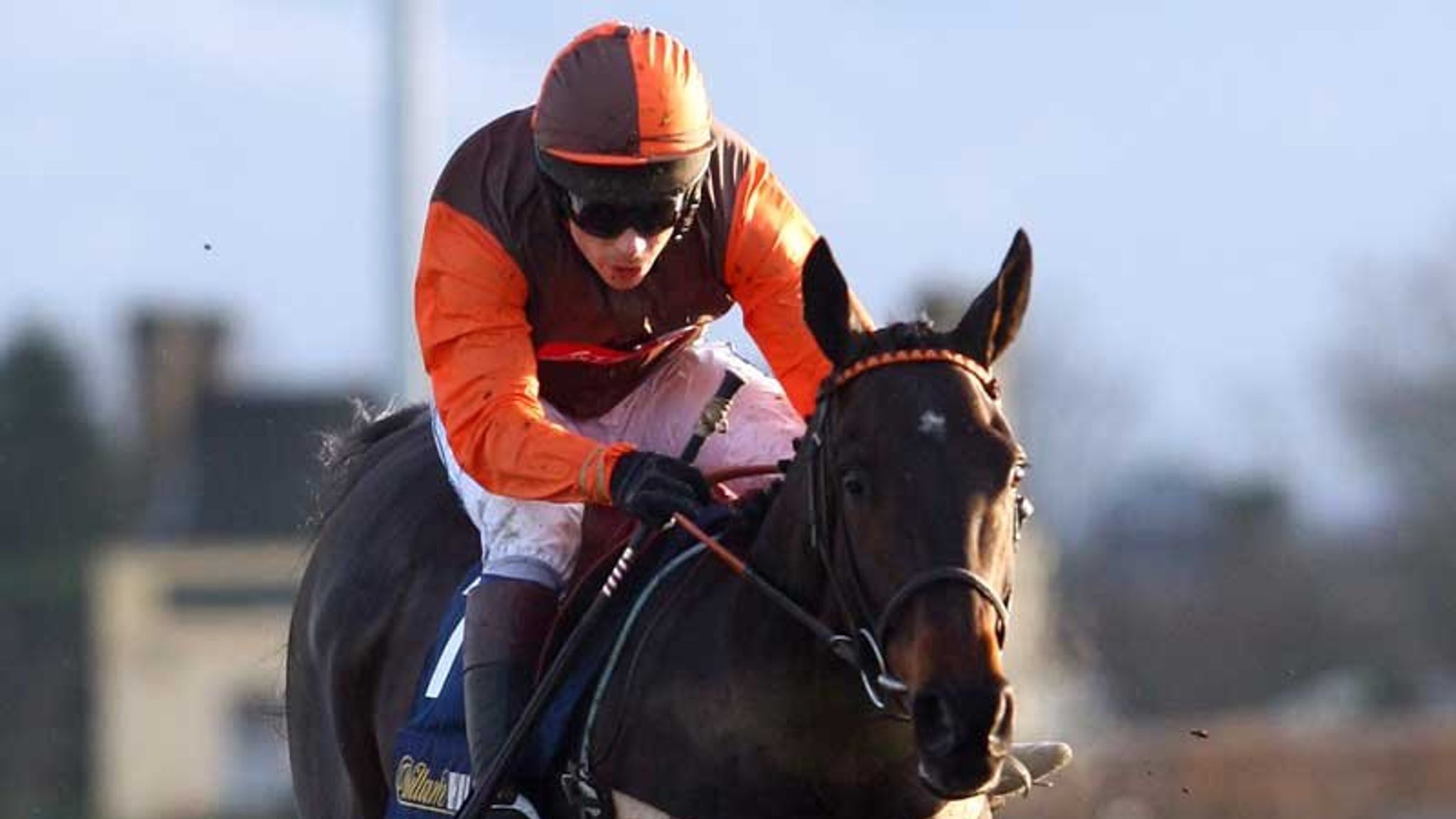 Waley-Cohen's winning Run? | Racing News | Sky Sports