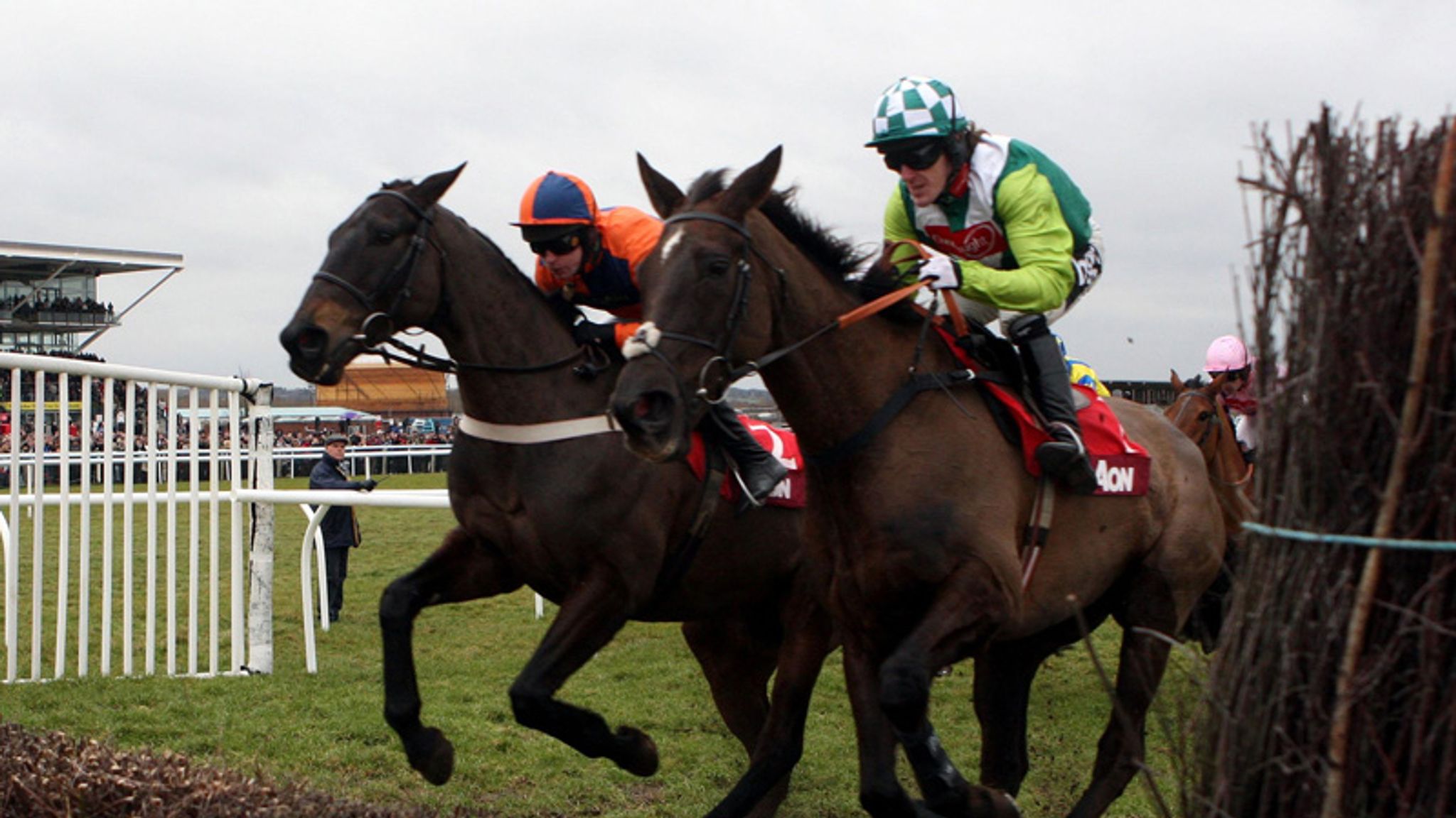Denman honoured by Newbury | Racing News | Sky Sports
