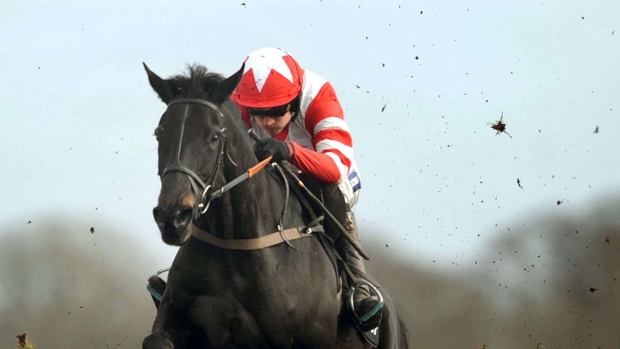 Nicholls backs Nightingale | Racing News | Sky Sports