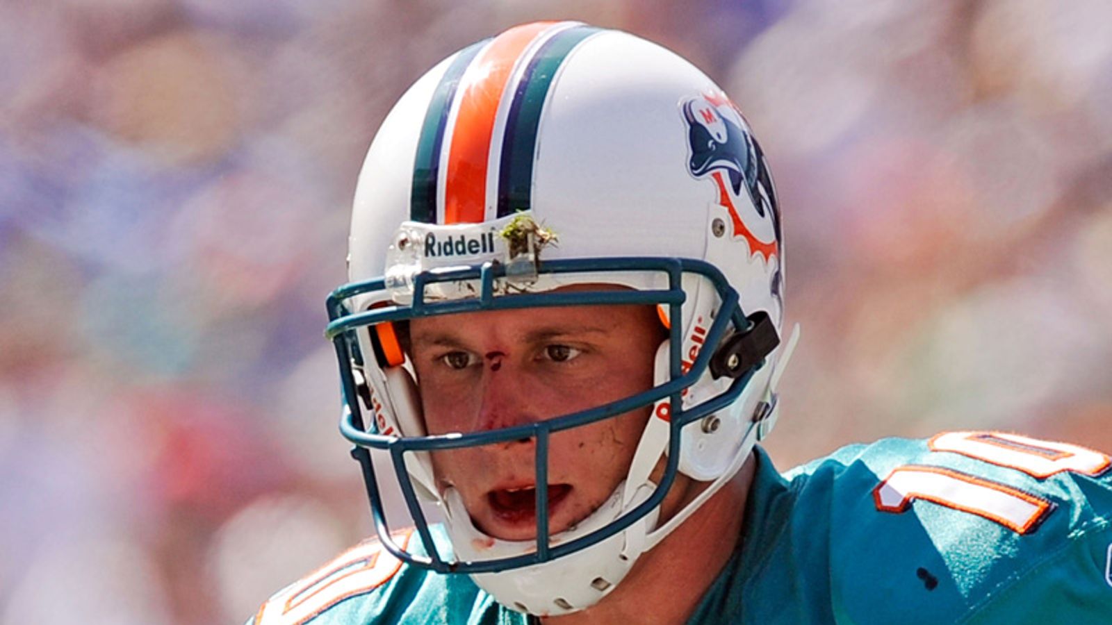 Pennington back at Dolphins | NFL News | Sky Sports