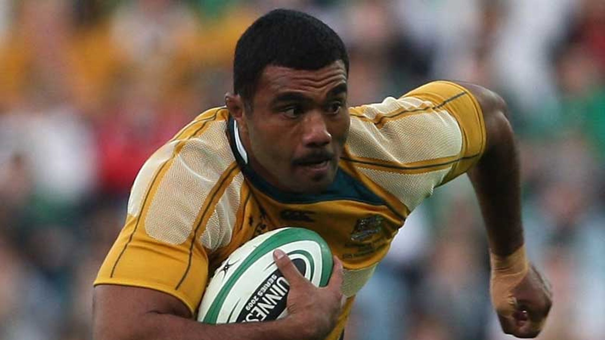 Palu considers options | Rugby Union News | Sky Sports