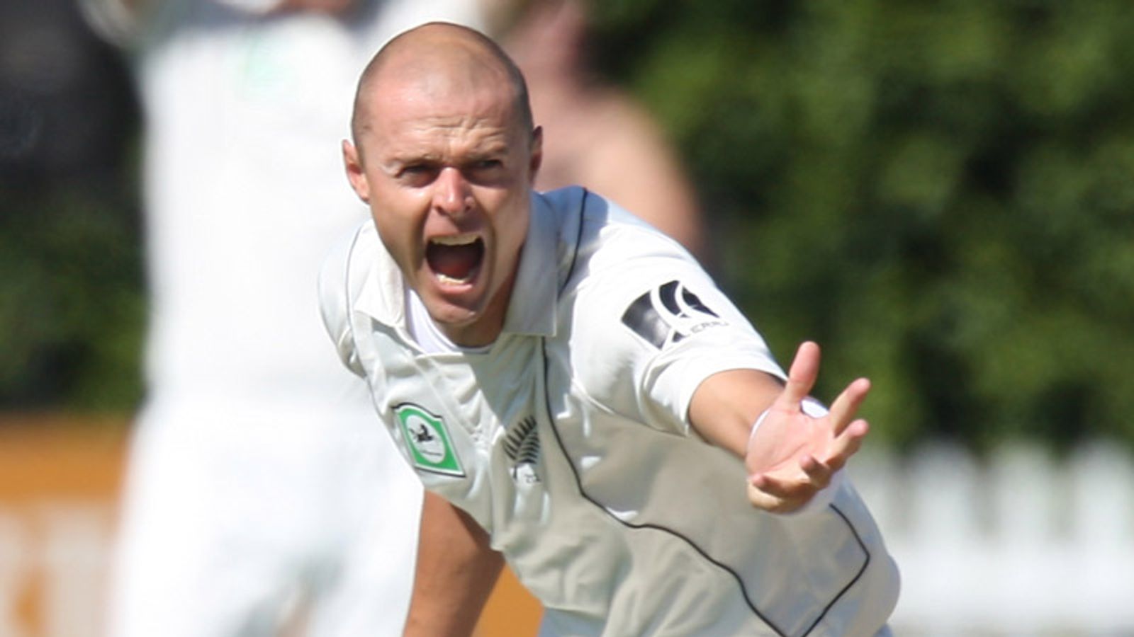 Essex move for Martin | Cricket News | Sky Sports