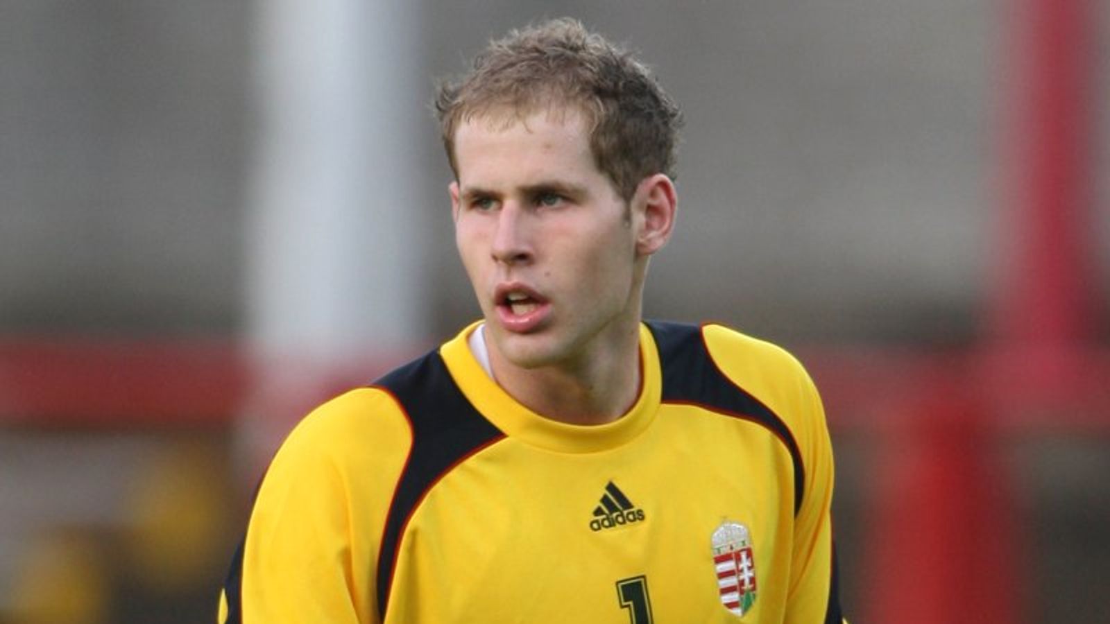 Gulacsi set for loan spell | Football News | Sky Sports