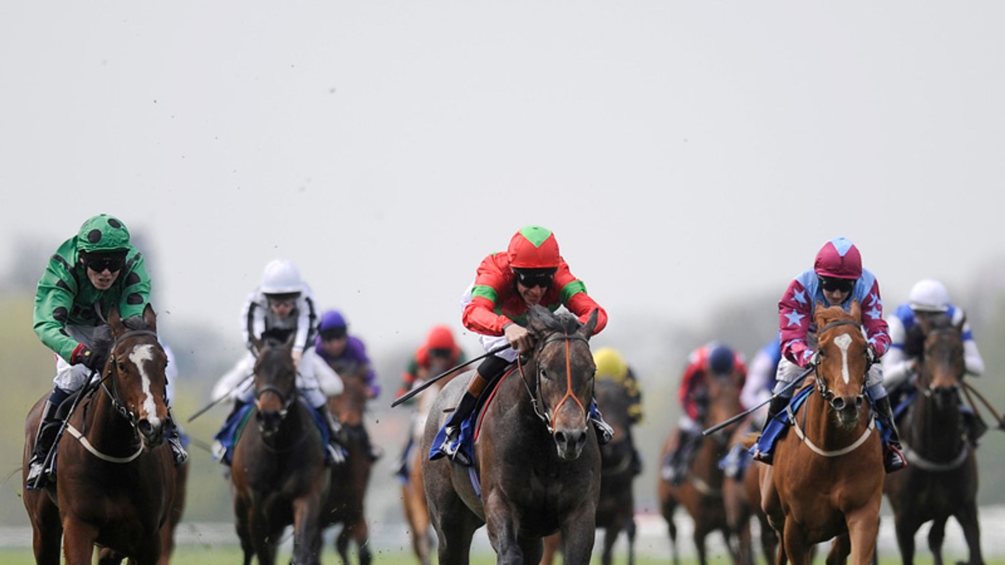 Zebedee set to bounce back | Racing News | Sky Sports