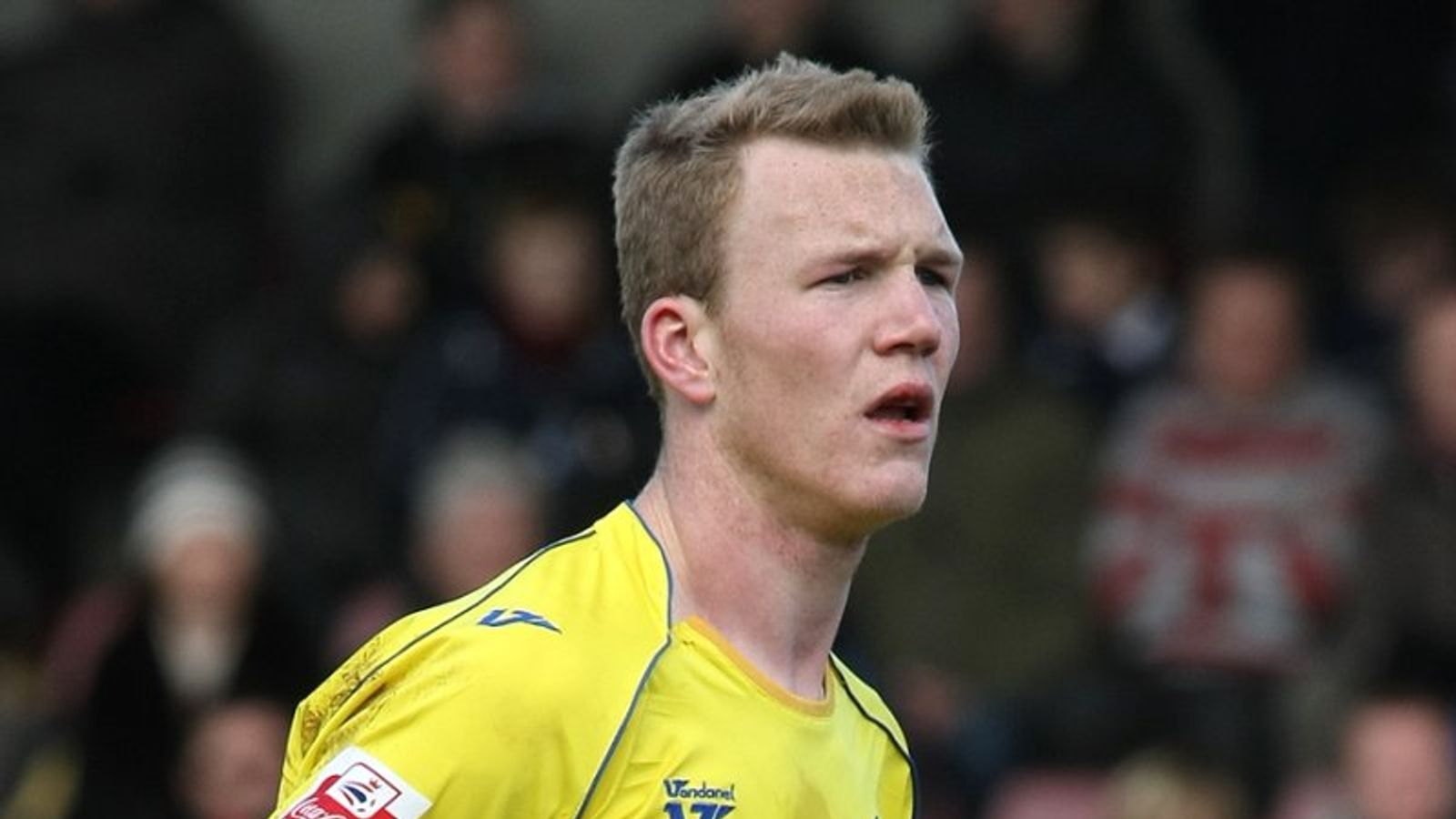 Ellis backs Torquay defence | Football News | Sky Sports