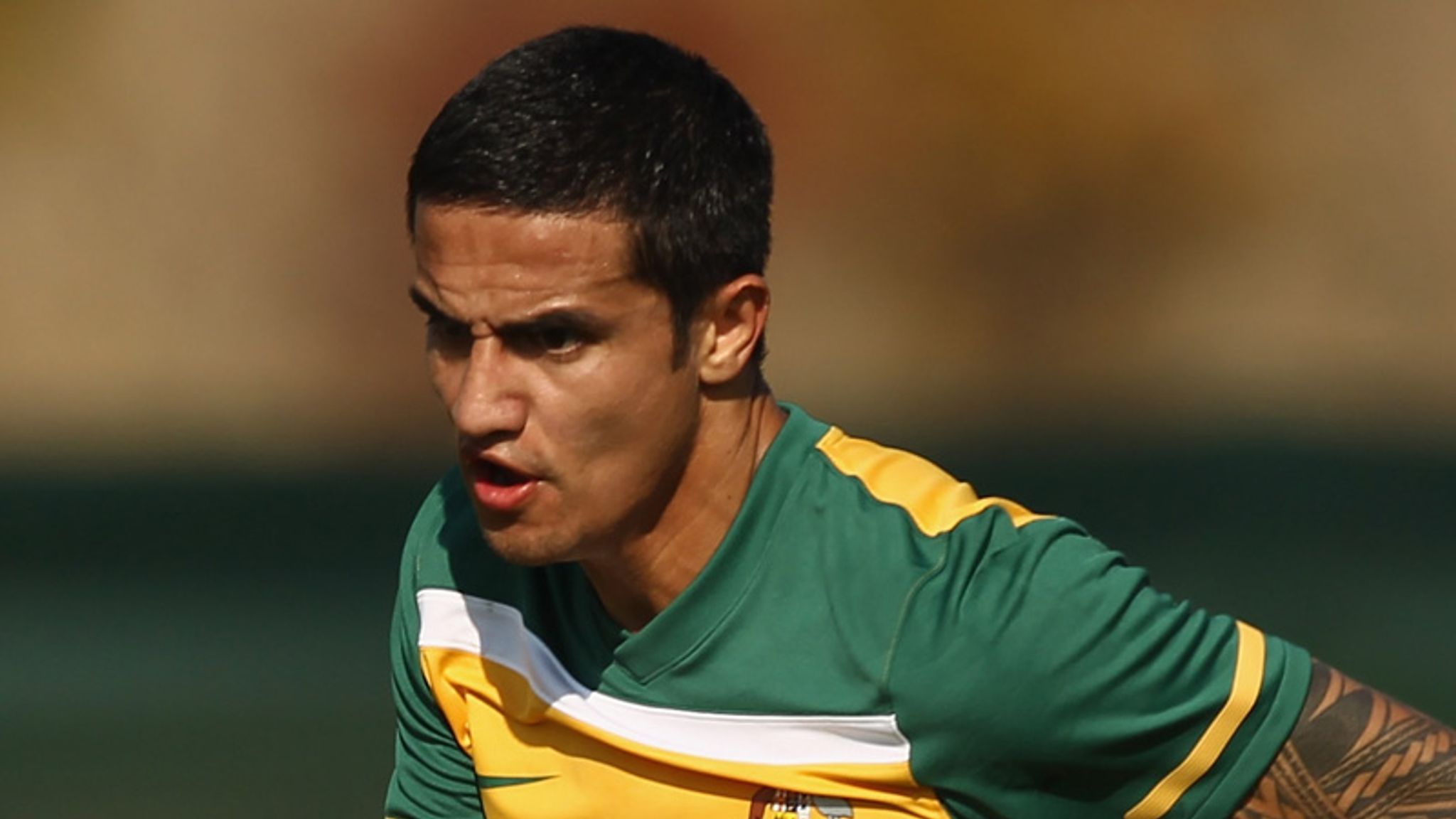 Cahill - Socceroos on track | Football News | Sky Sports