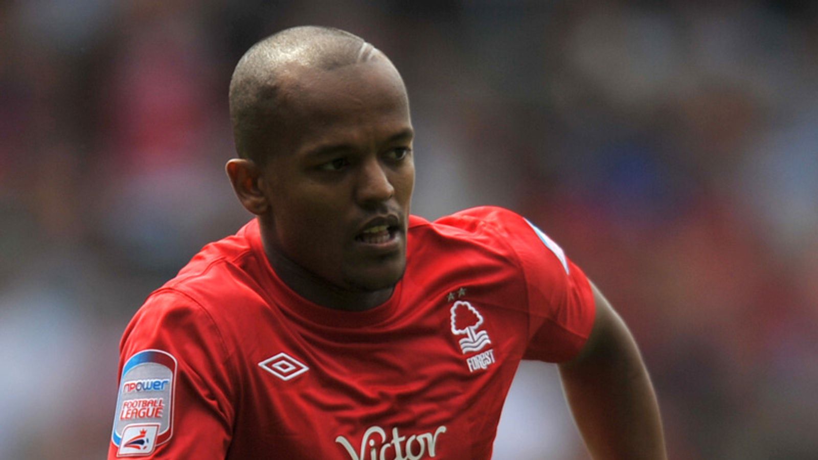 Earnshaw in new deal talks | Football News | Sky Sports