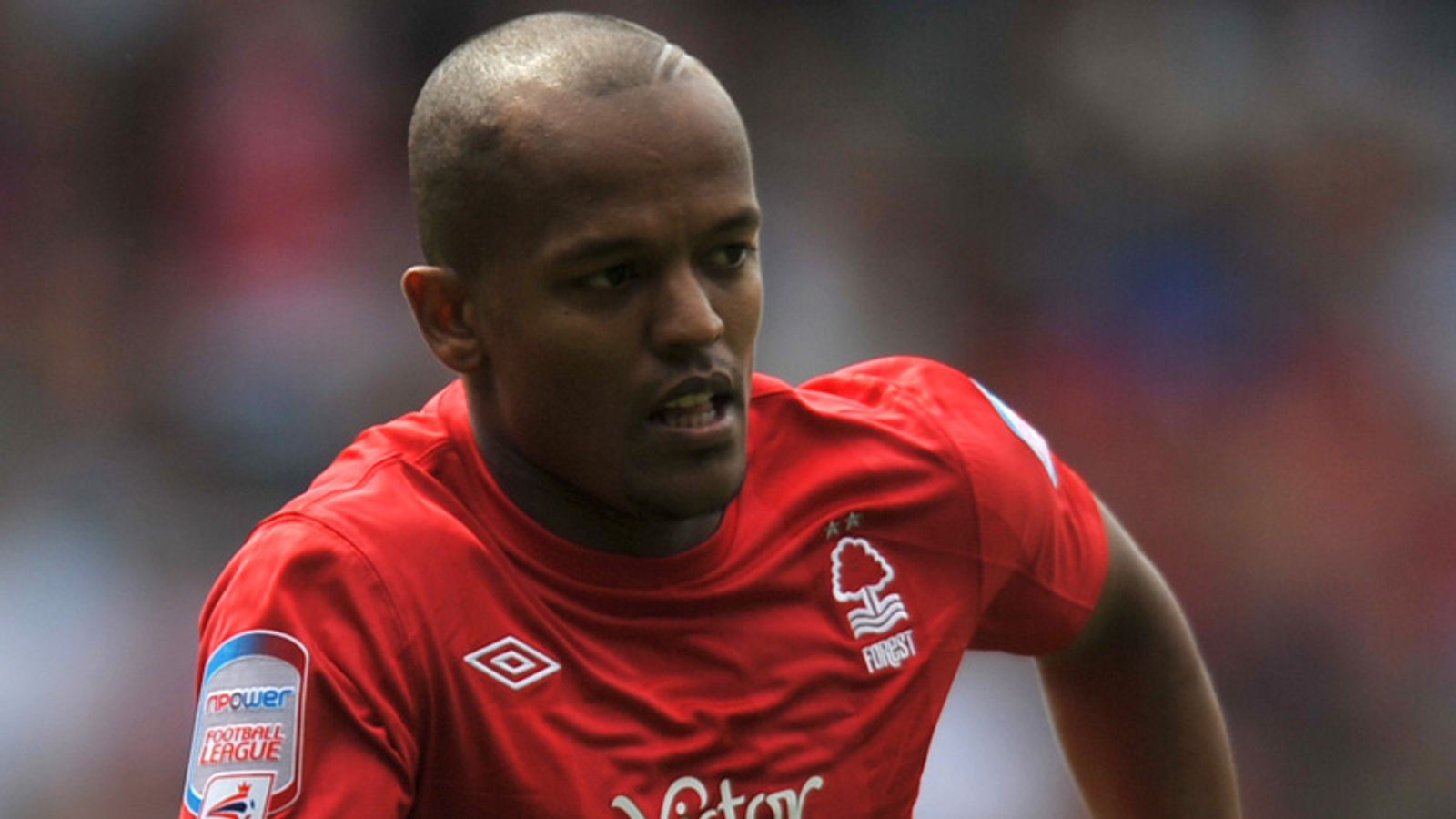 Earnshaw out of Wales squad | Football News | Sky Sports