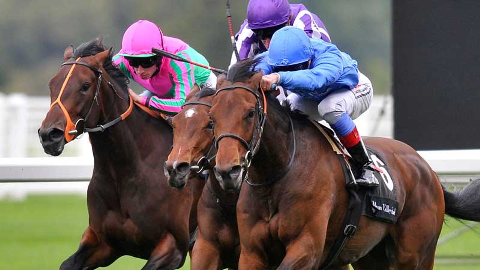 Moonstone team hopeful | Racing News | Sky Sports