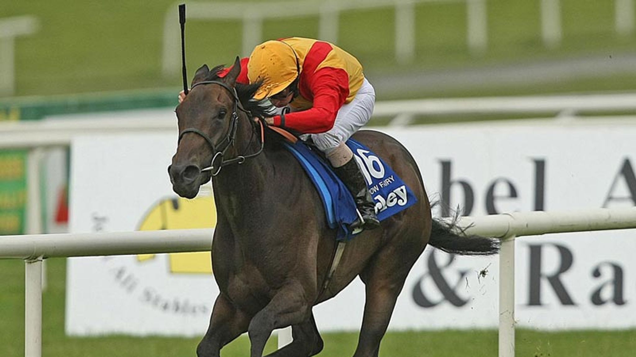 Snow Fairy wins in Japan | Racing News | Sky Sports