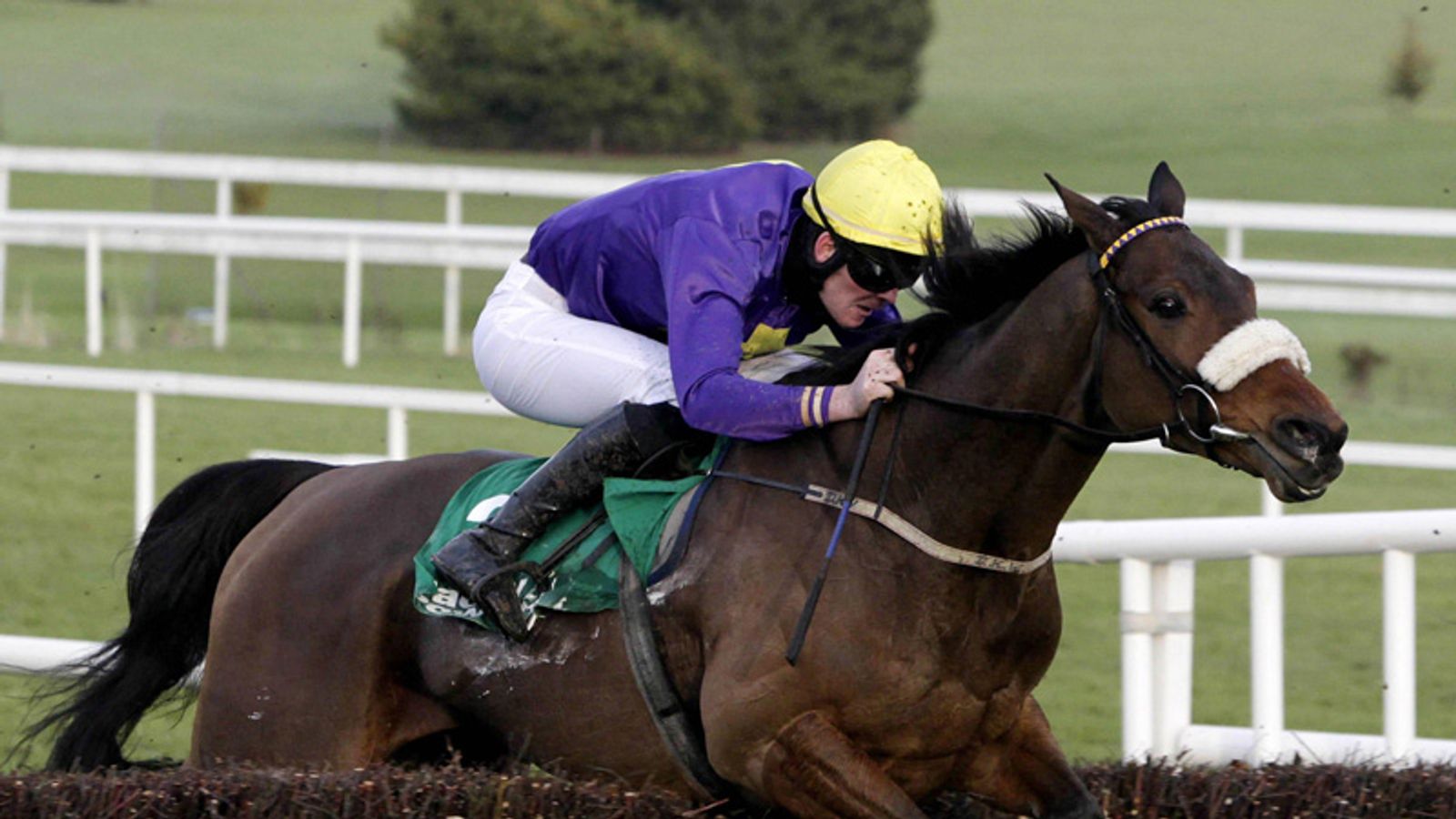 McNamara hoping to ride Concorde | Racing News | Sky Sports