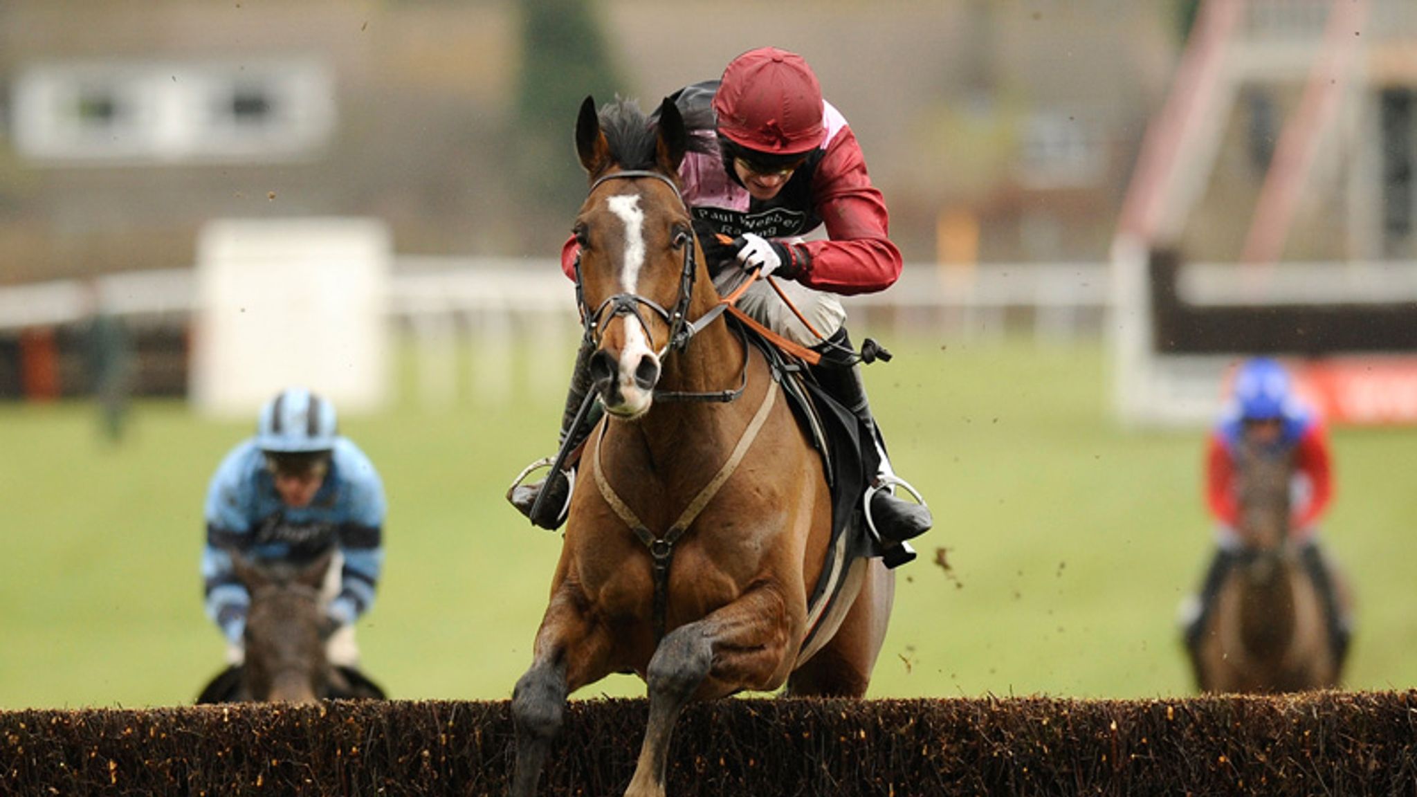 Sarando enters Hennessy frame | Racing News | Sky Sports