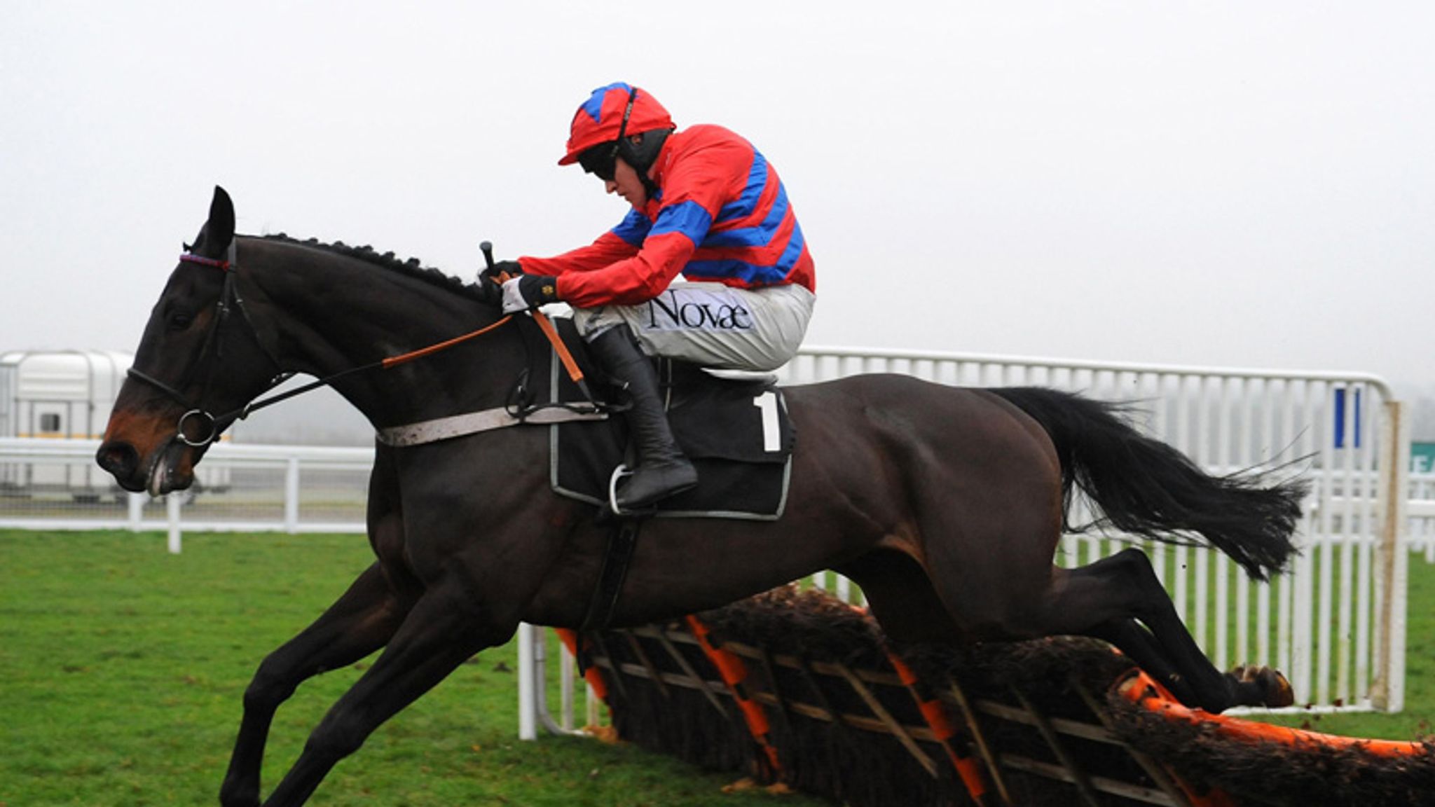 No dramas for Sprinter Sacre | Racing News | Sky Sports