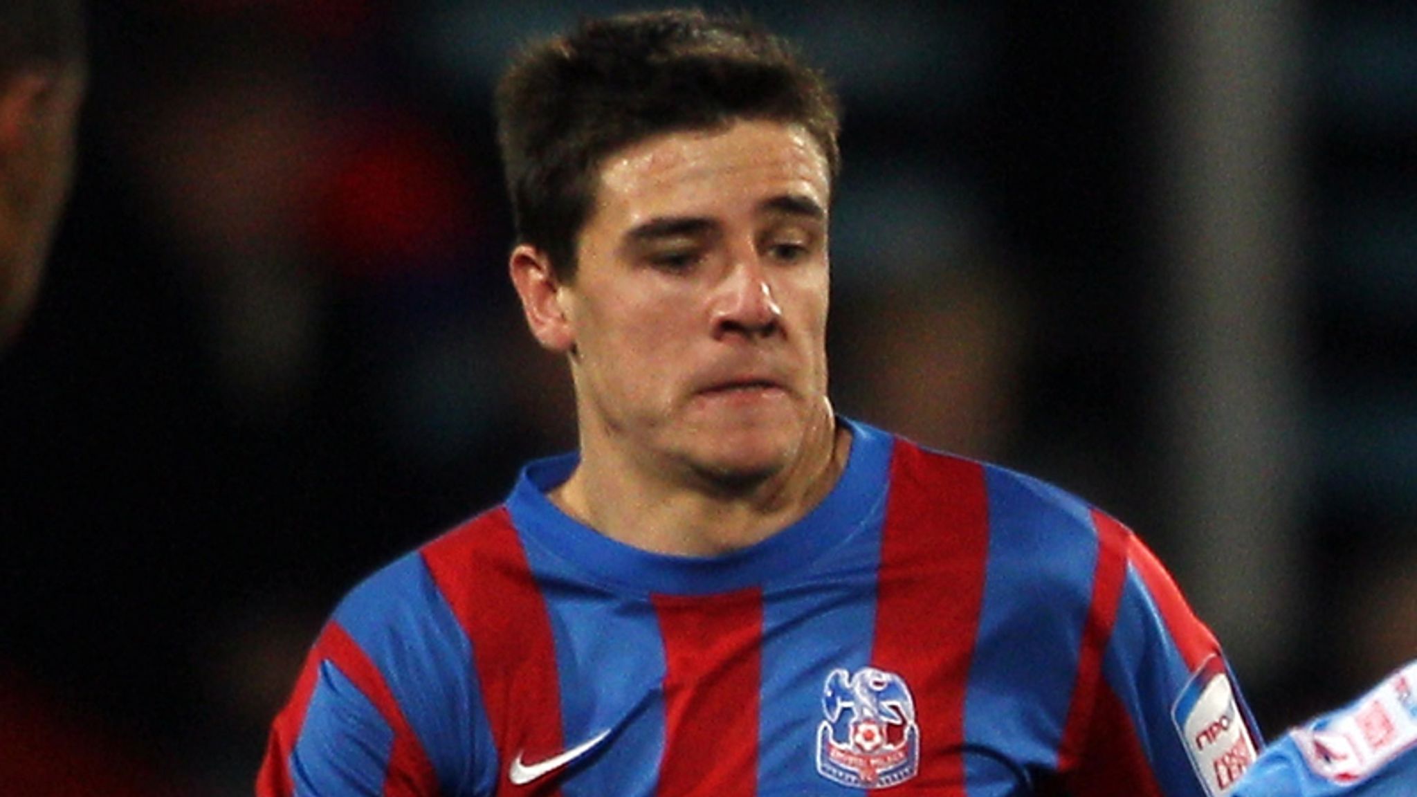 Seagulls in Garvan bid | Football News | Sky Sports