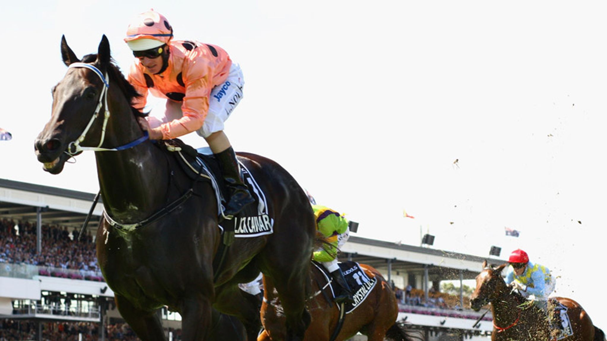 Ascot plan for Black Caviar | Racing News | Sky Sports