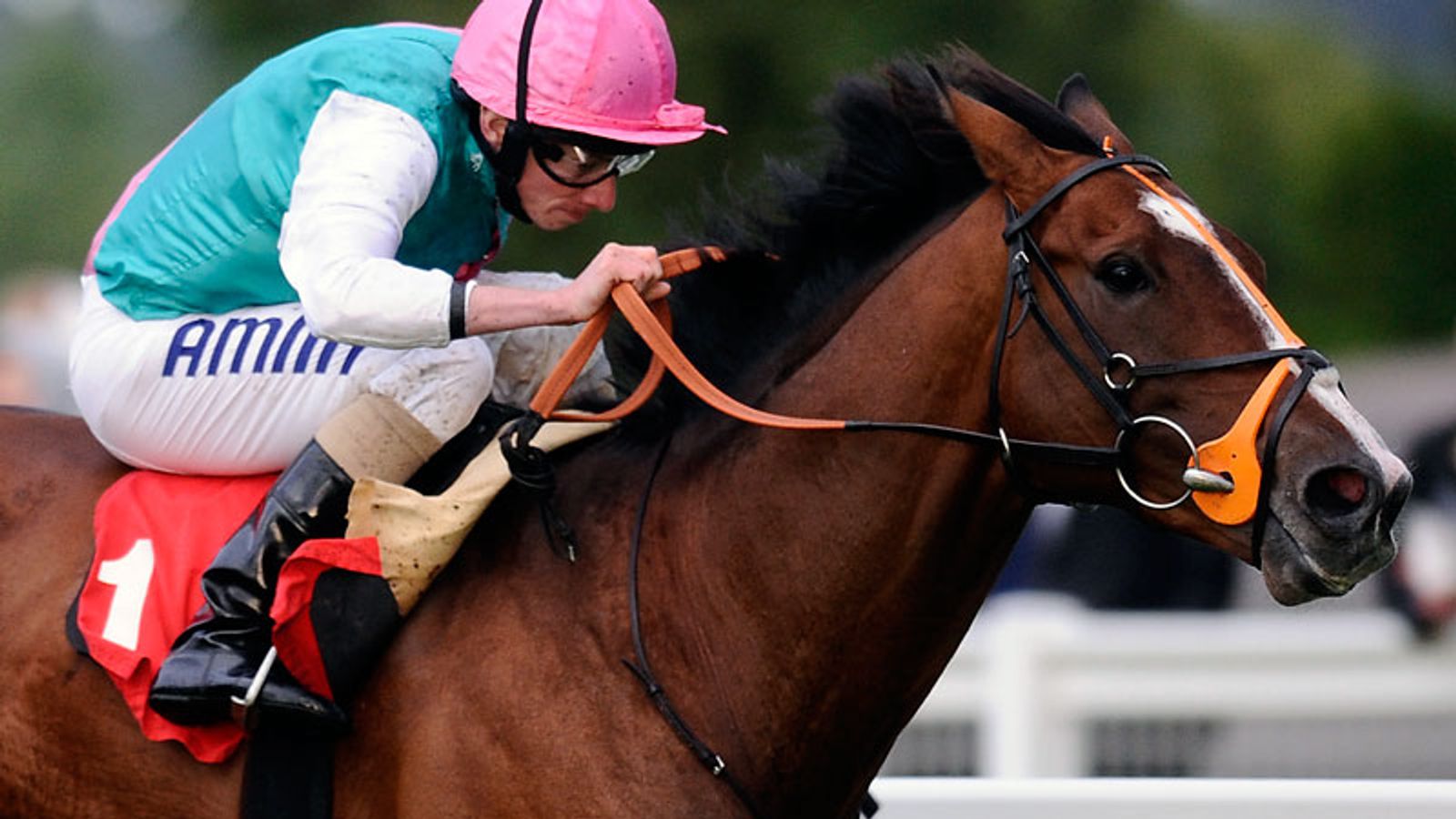 Arc Avenger? | Racing News | Sky Sports