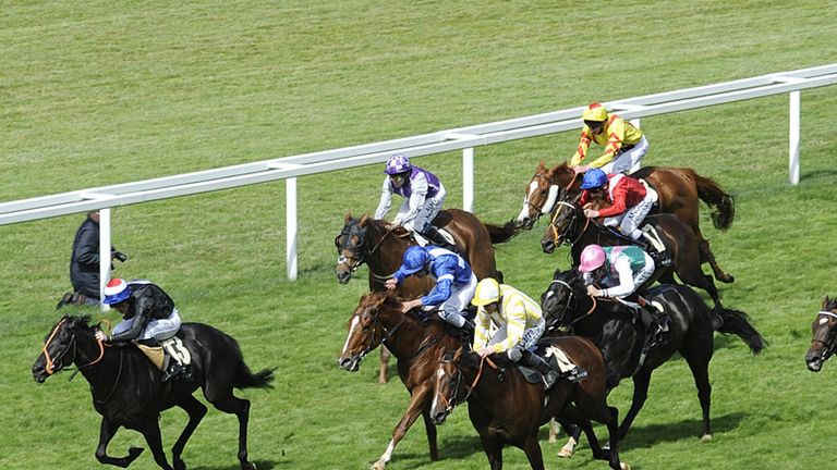 Rock French raid in doubt | Racing News | Sky Sports