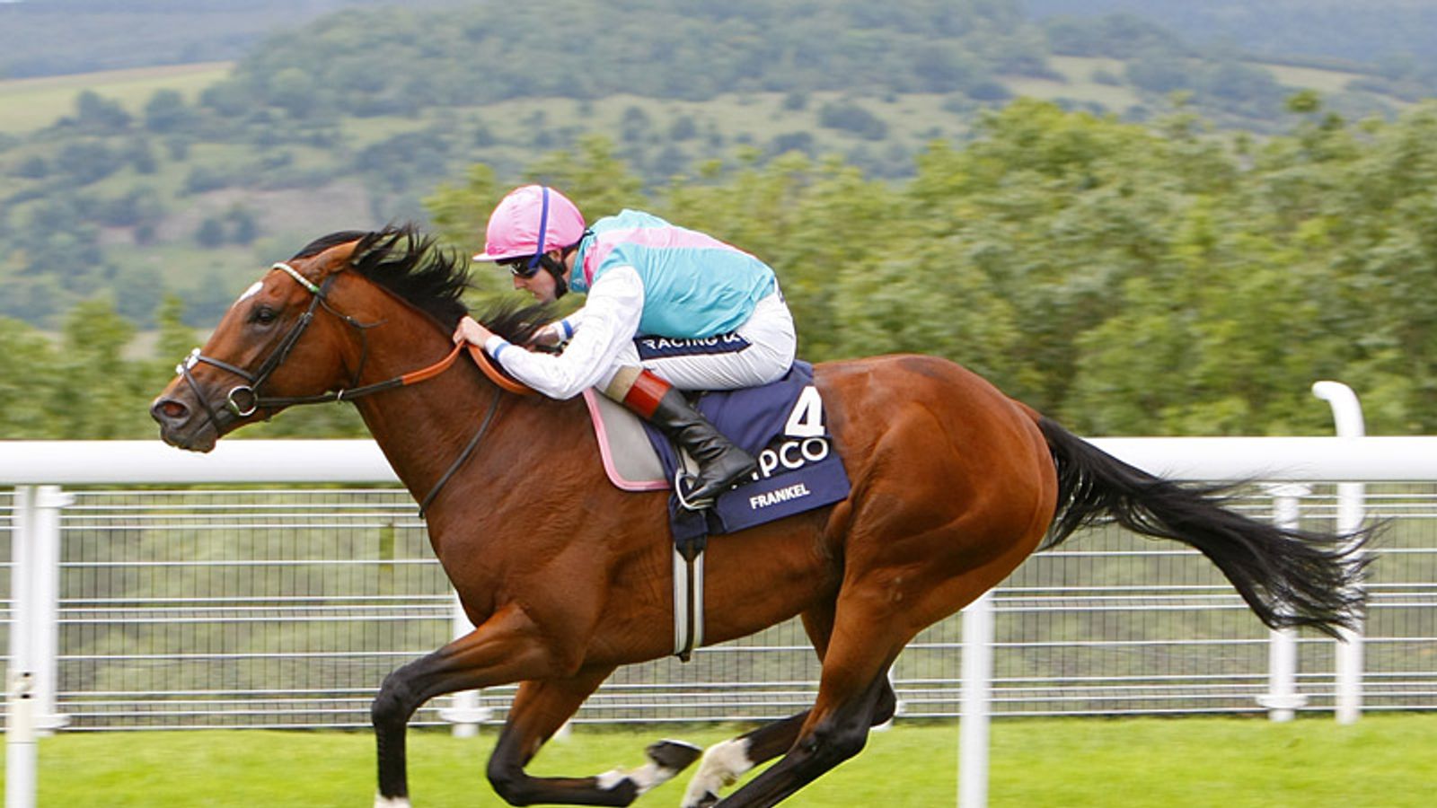 Head: Sussex ideal for Frankel | Racing News | Sky Sports