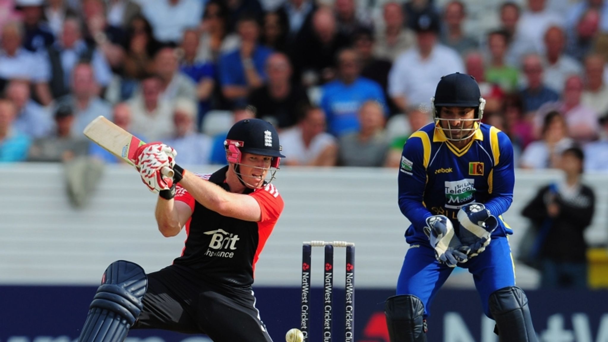 Morgan - England must adapt | Cricket News | Sky Sports