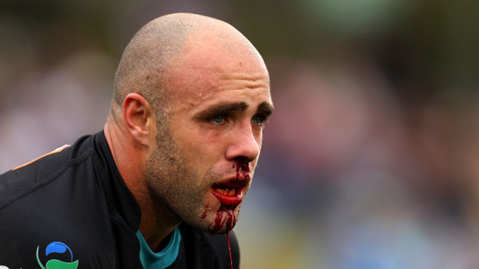 Bradford swoop for Purtell | Rugby League News | Sky Sports