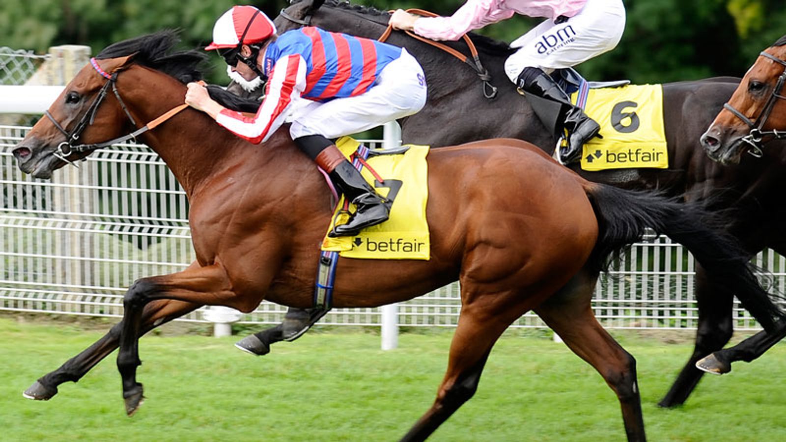 Gold options open | Racing News | Sky Sports