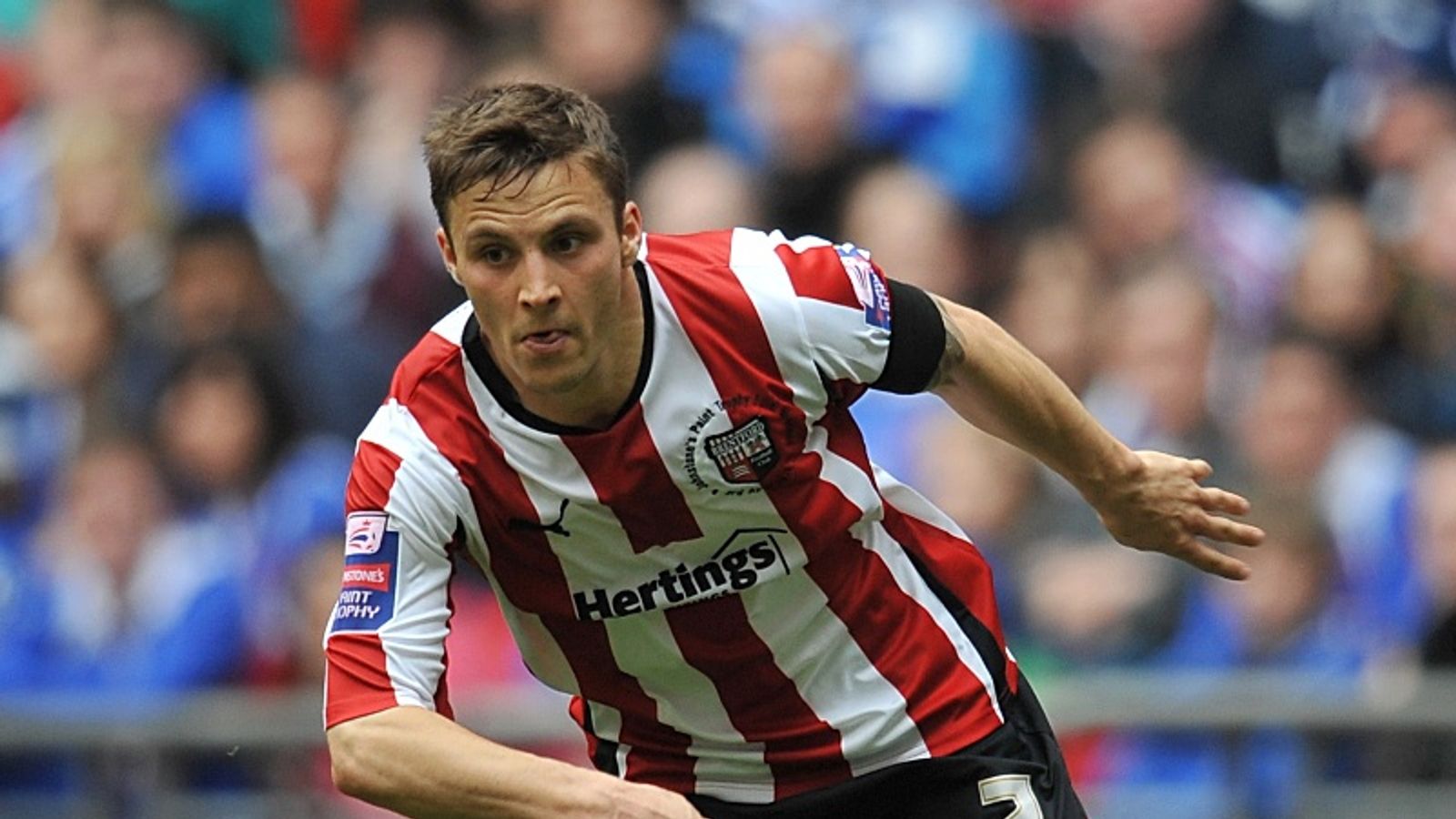 Bees plan Saunders talks | Football News | Sky Sports