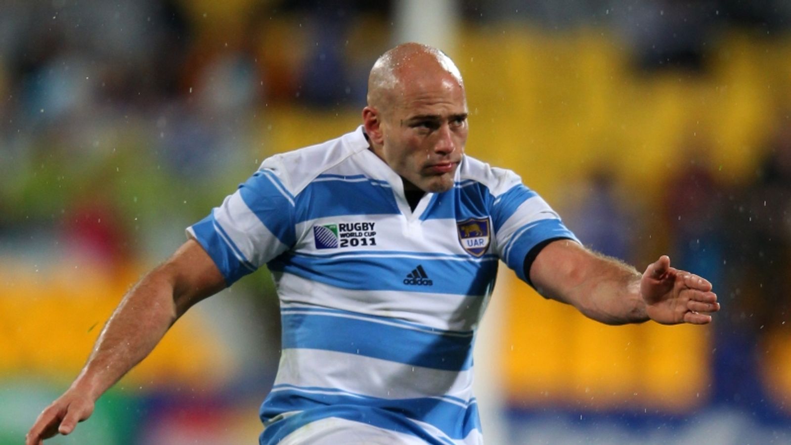 Contepomi to skipper Pumas | Rugby Union News | Sky Sports