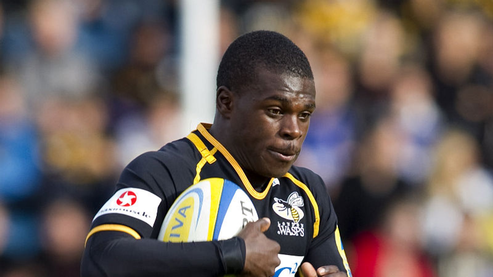Wade blow for Wasps | Rugby Union News | Sky Sports