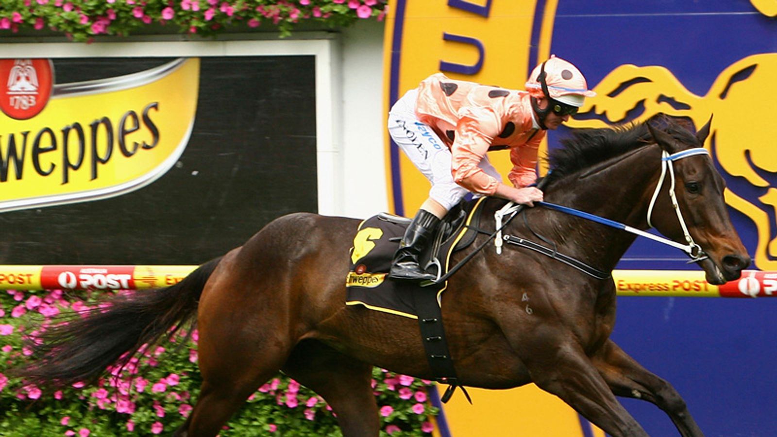 Another Caviar masterclass | Racing News | Sky Sports