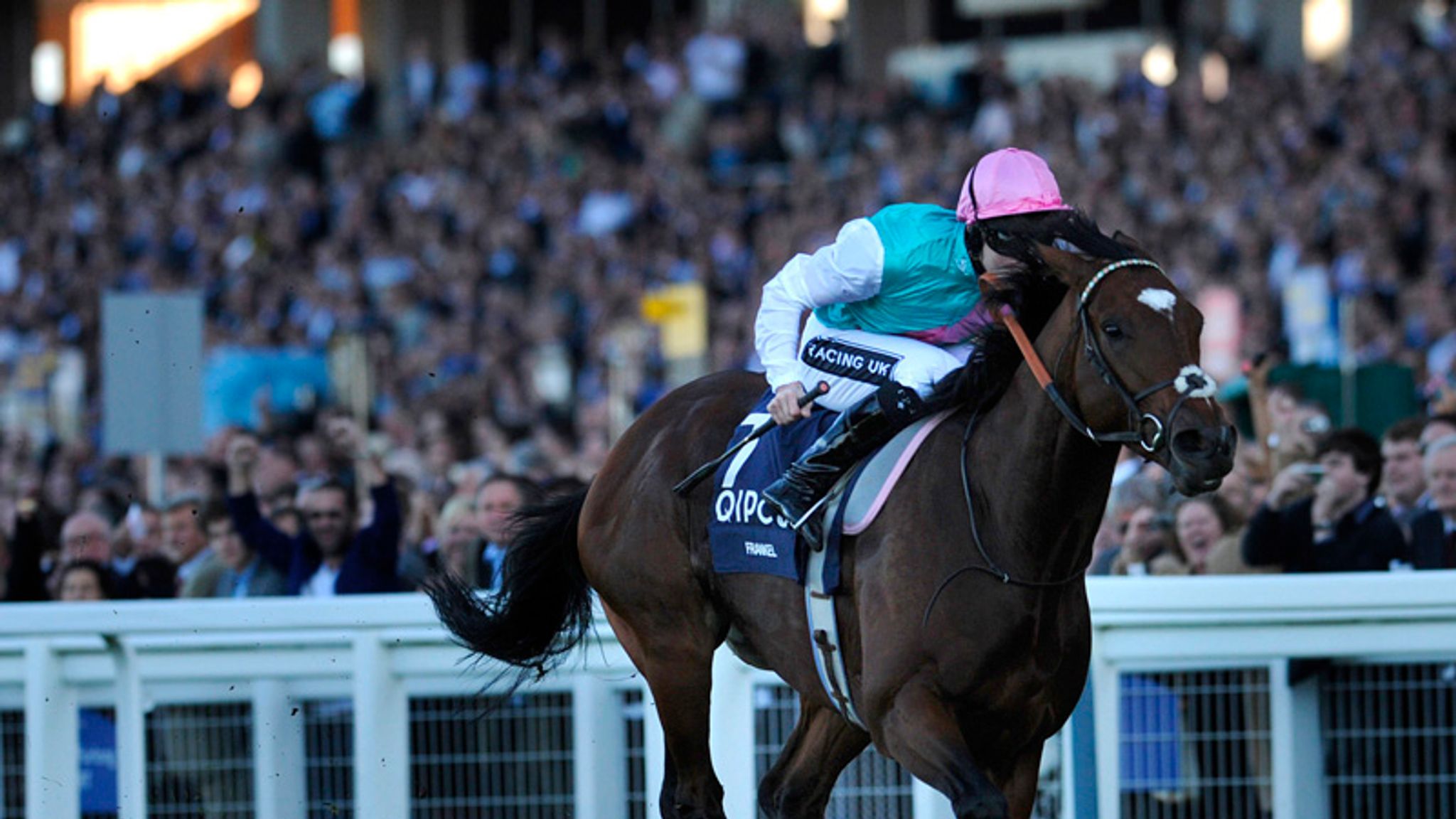 Frankel on top of the world | Racing News | Sky Sports