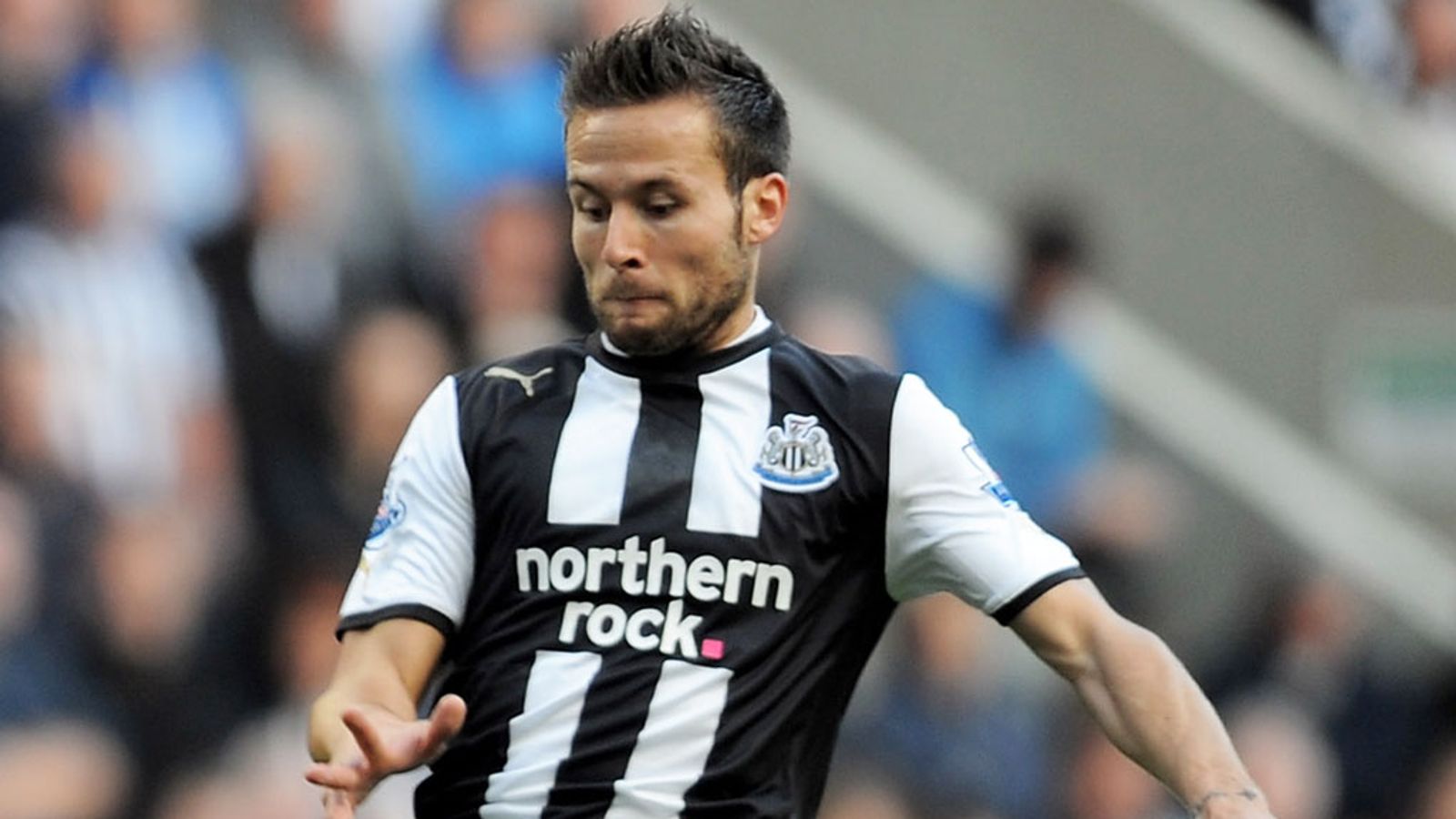 Cabaye backs United for title | Football News | Sky Sports