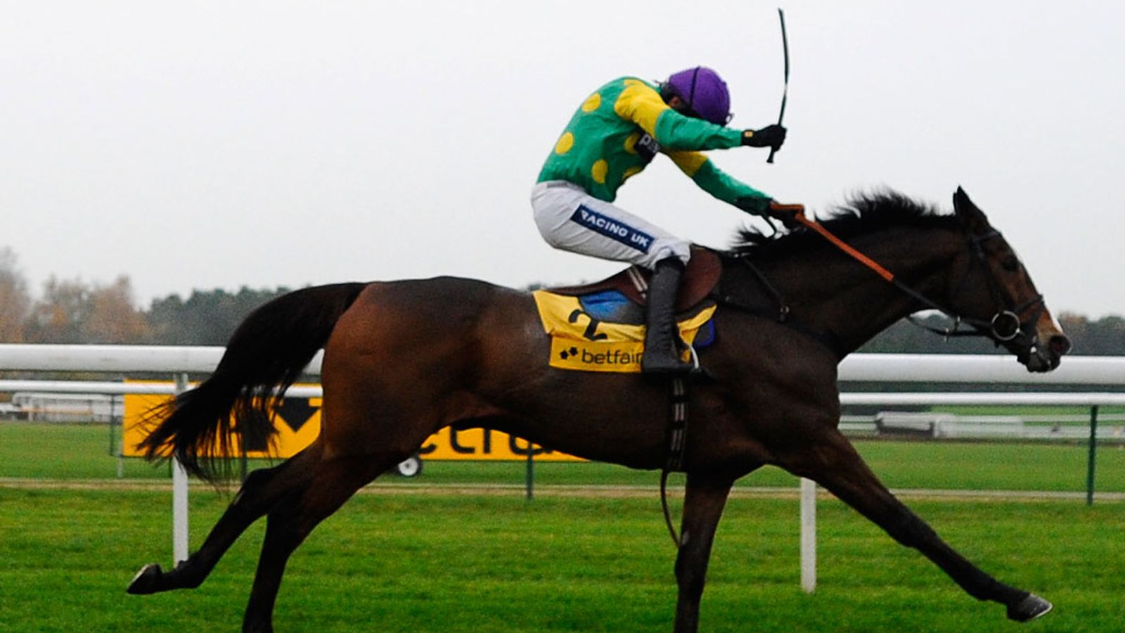 Haydock honour for Kauto | Racing News | Sky Sports