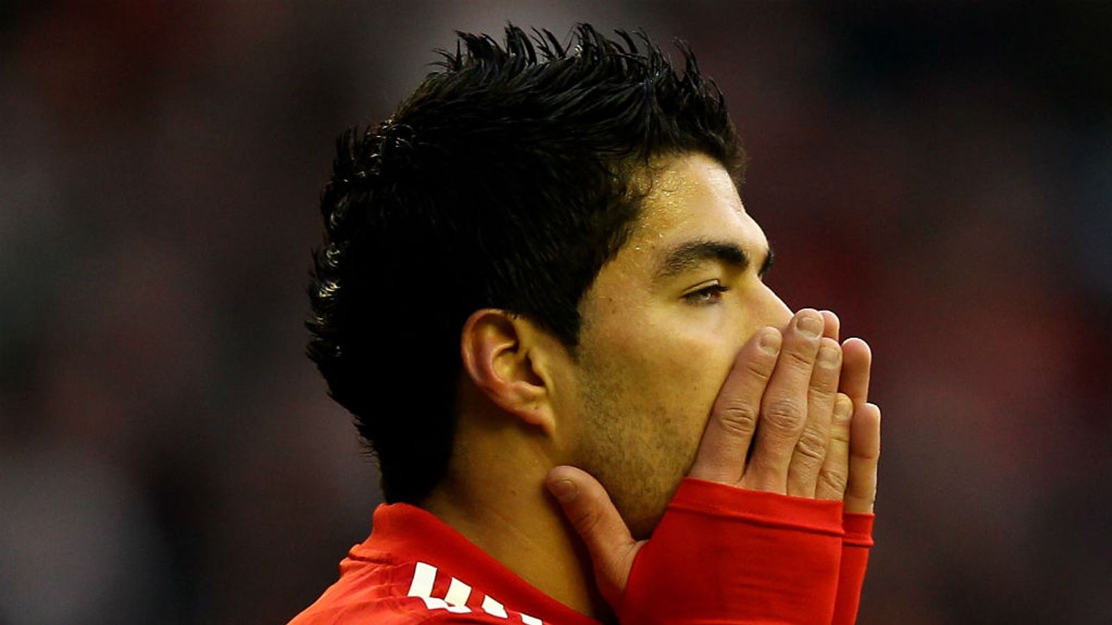 Warnock praise for Suarez | Football News | Sky Sports