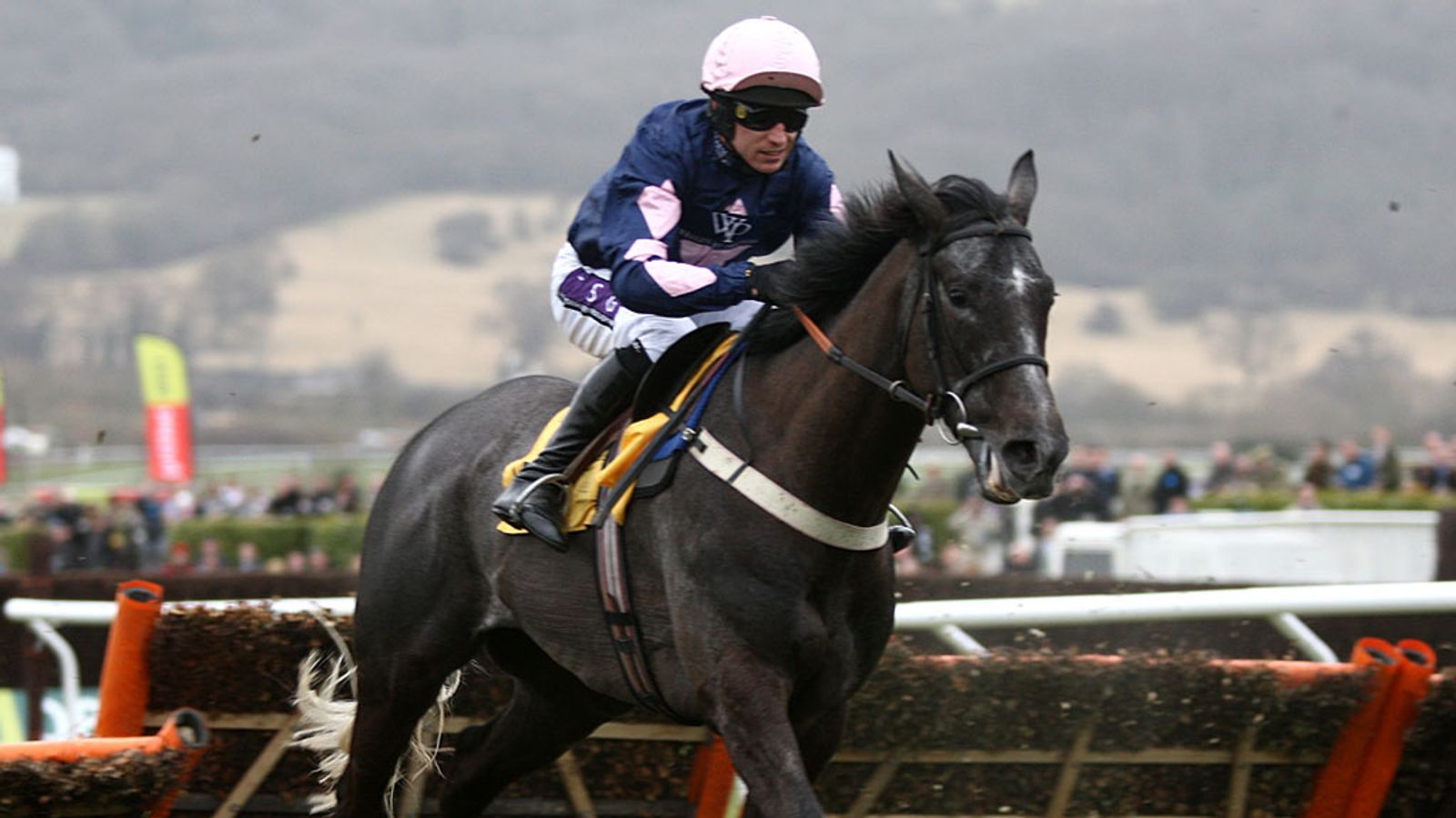 Olofi set for Cheltenham return | Racing News | Sky Sports