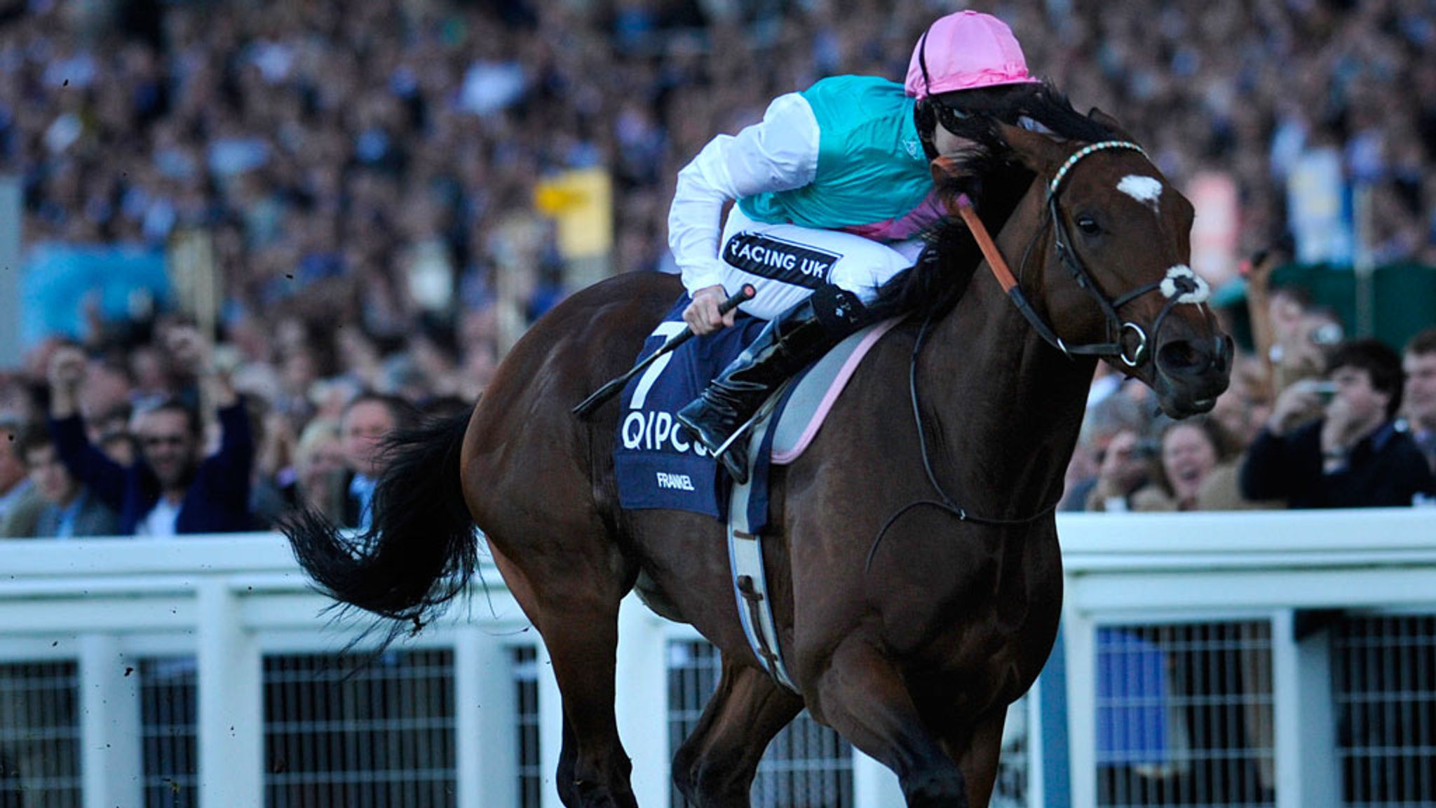 Frankel doubtful for Lockinge | Racing News | Sky Sports